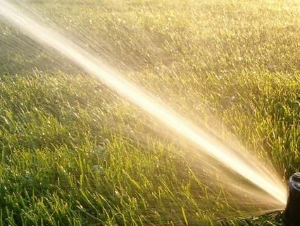 Automated Sprinkler System Anyone Can Do! : 8 Steps (with Pictures ...