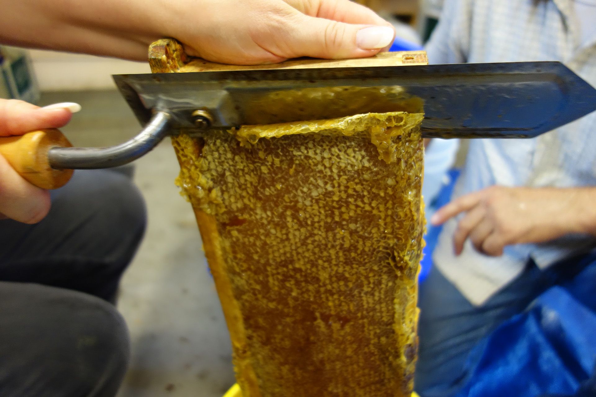 Extracting Honey : 8 Steps (with Pictures) - Instructables