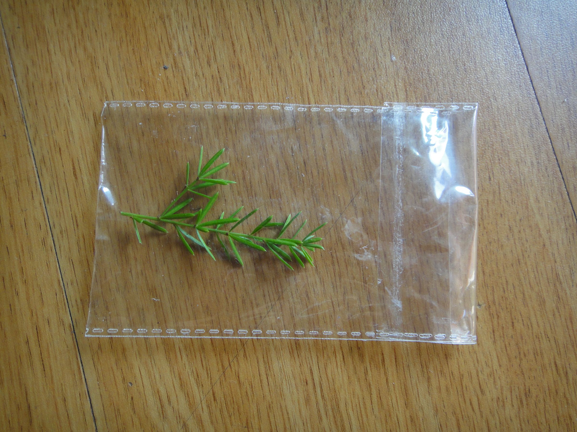 Low-magnification Microscope : 3 Steps (with Pictures) - Instructables