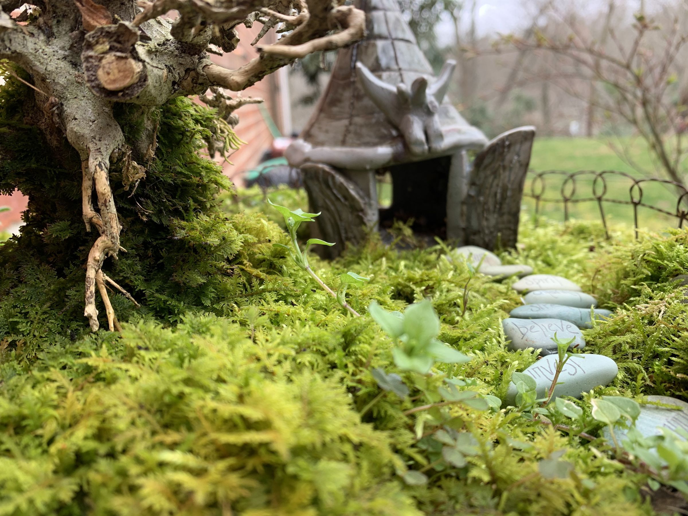 Mini Relaxation Garden : 3 Steps - Instructables