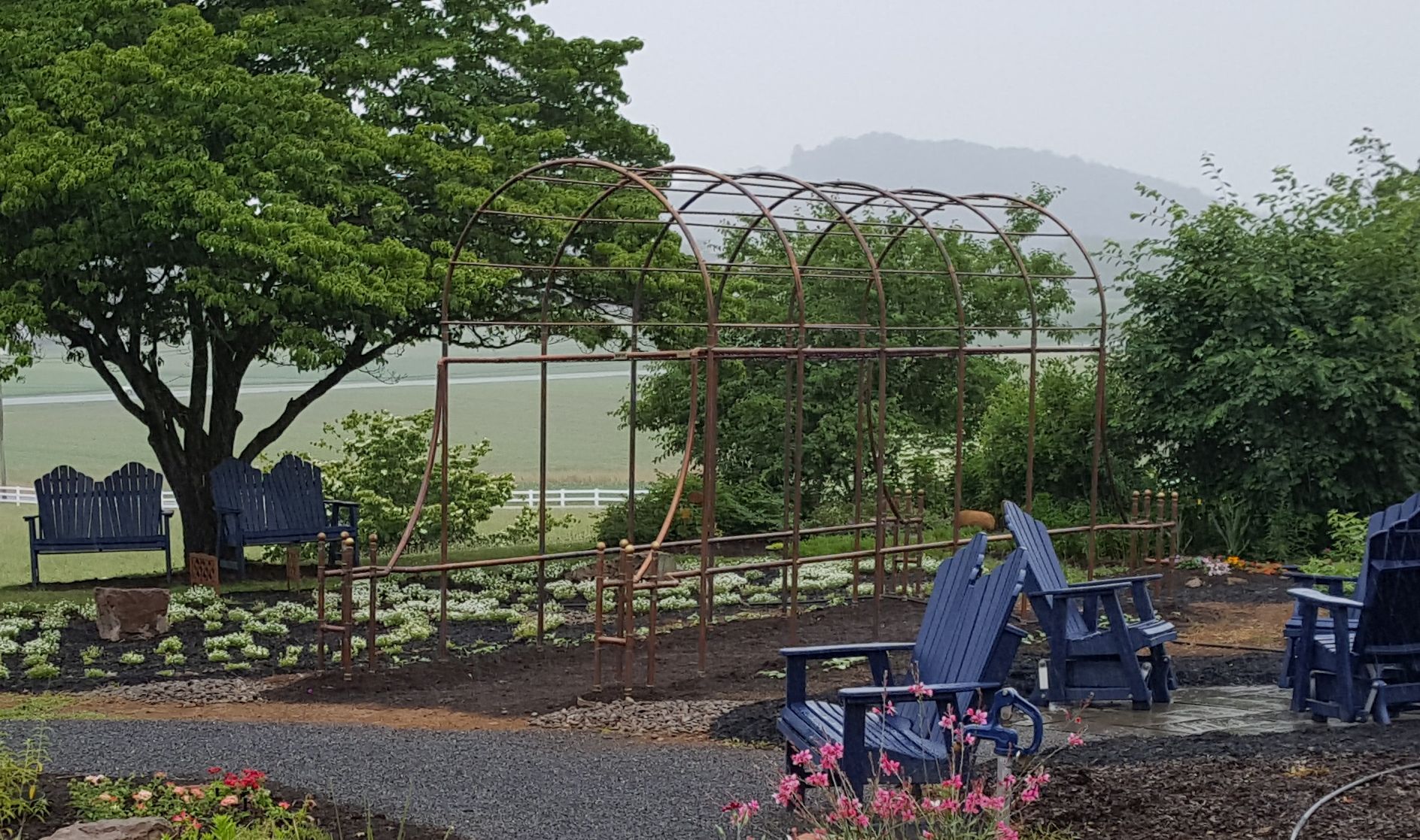 Pipe Trellis : 10 Steps (with Pictures) - Instructables