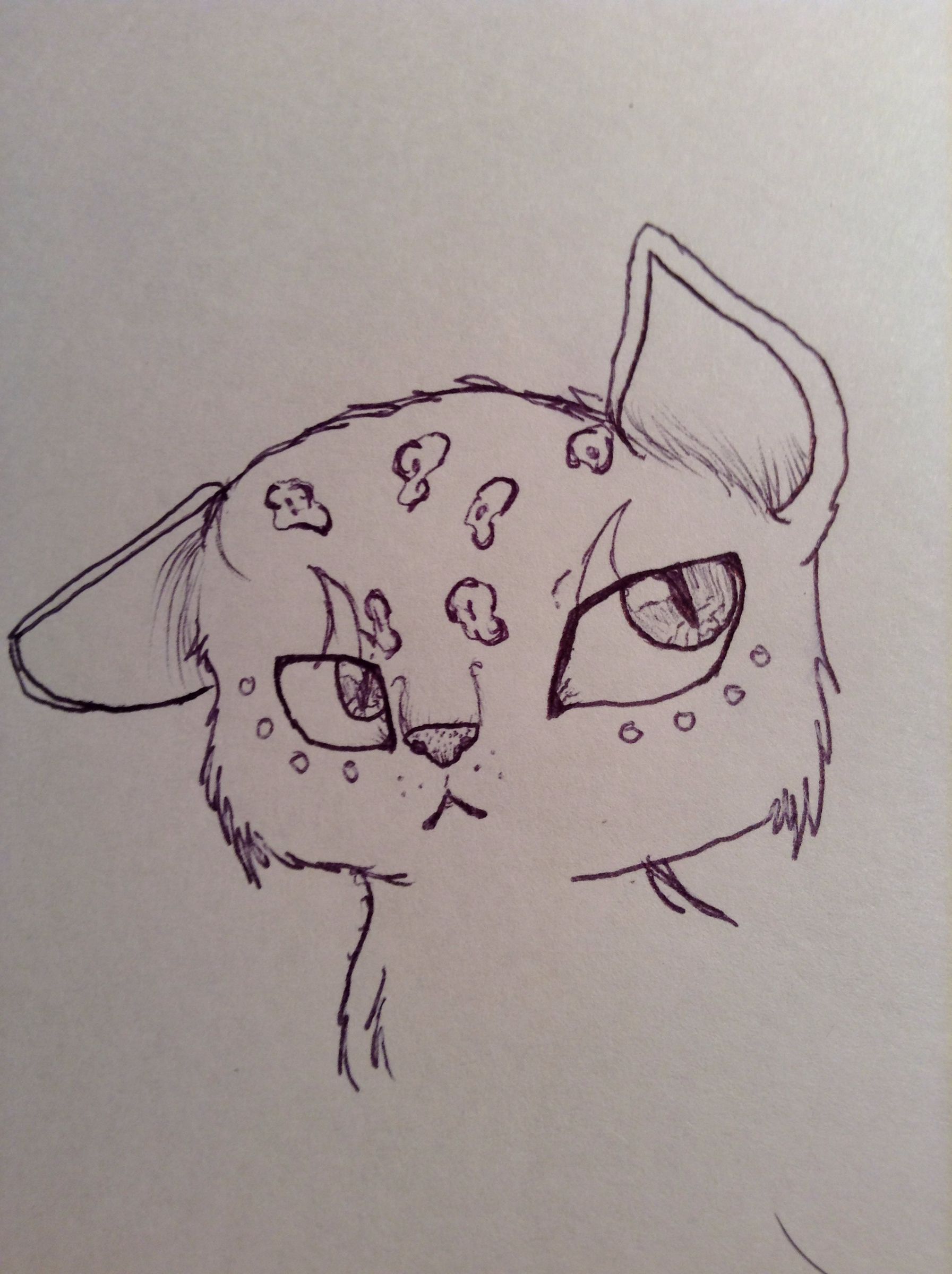 How To Draw A Realistic Cat Face Step By Step