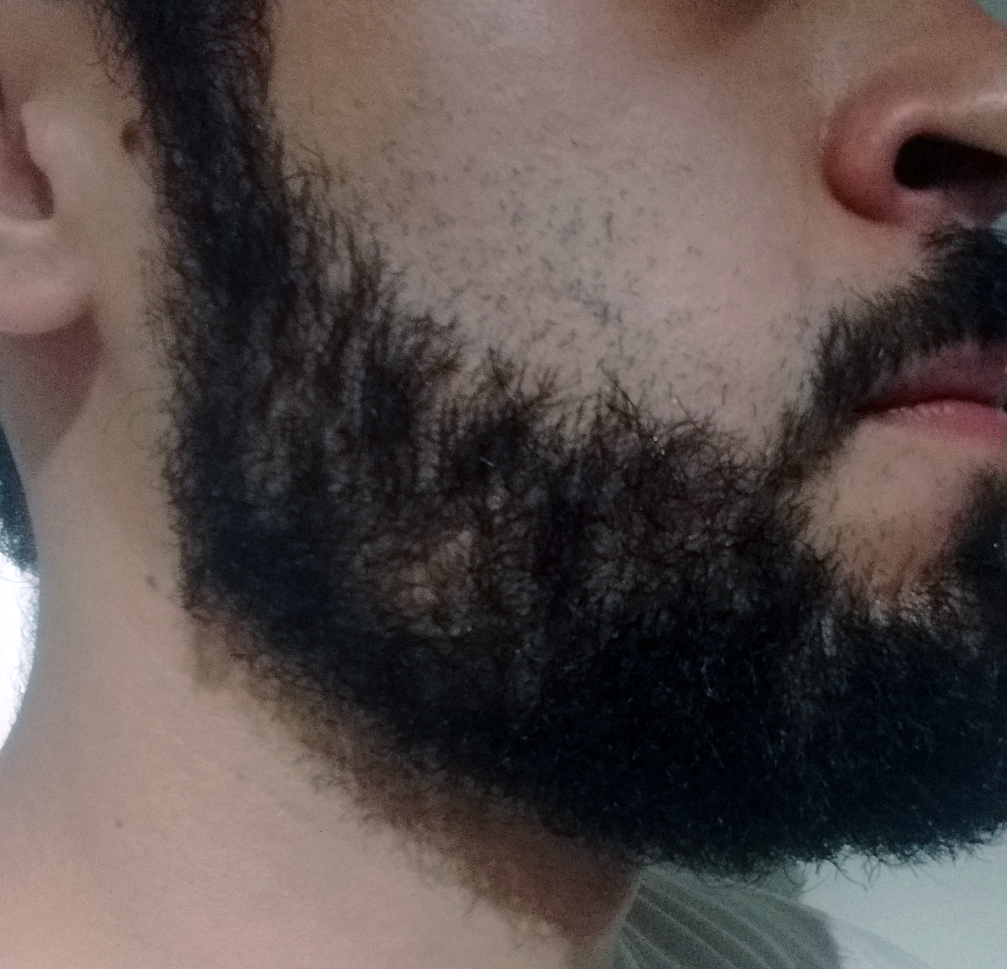 Beard Outliner Tool : 4 Steps (with Pictures) - Instructables