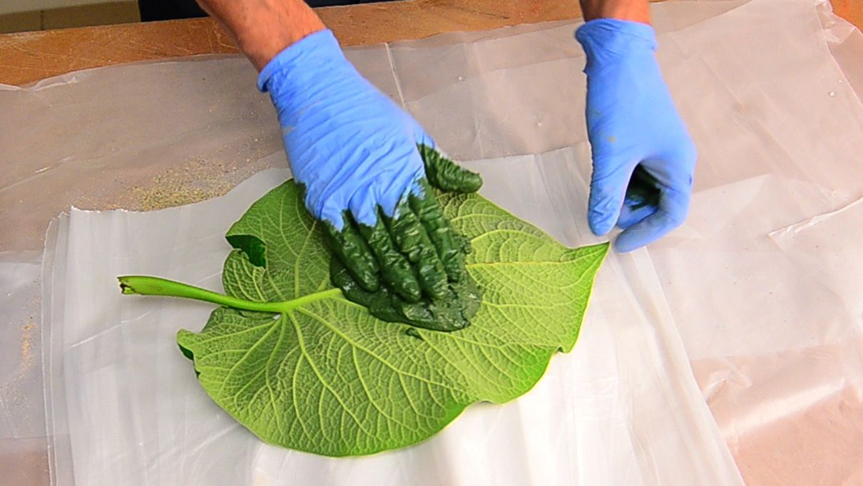 Shape Your Own : Decorative Concrete Leaf : 5 Steps - Instructables