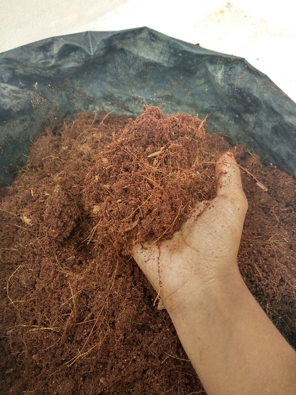 Roof Gardening : 21 Steps (with Pictures) - Instructables