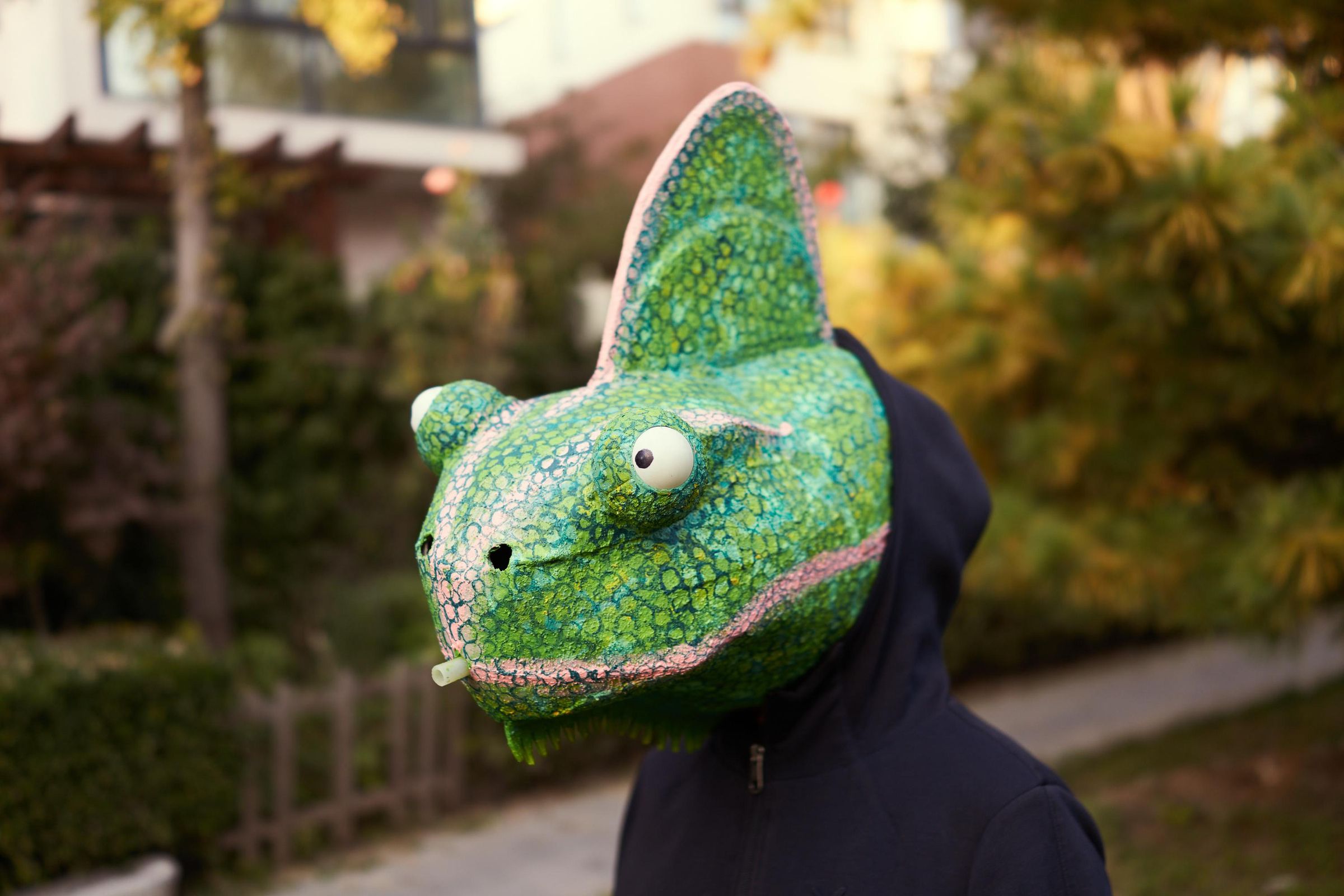 Chameleon Mask : 8 Steps (with Pictures) - Instructables