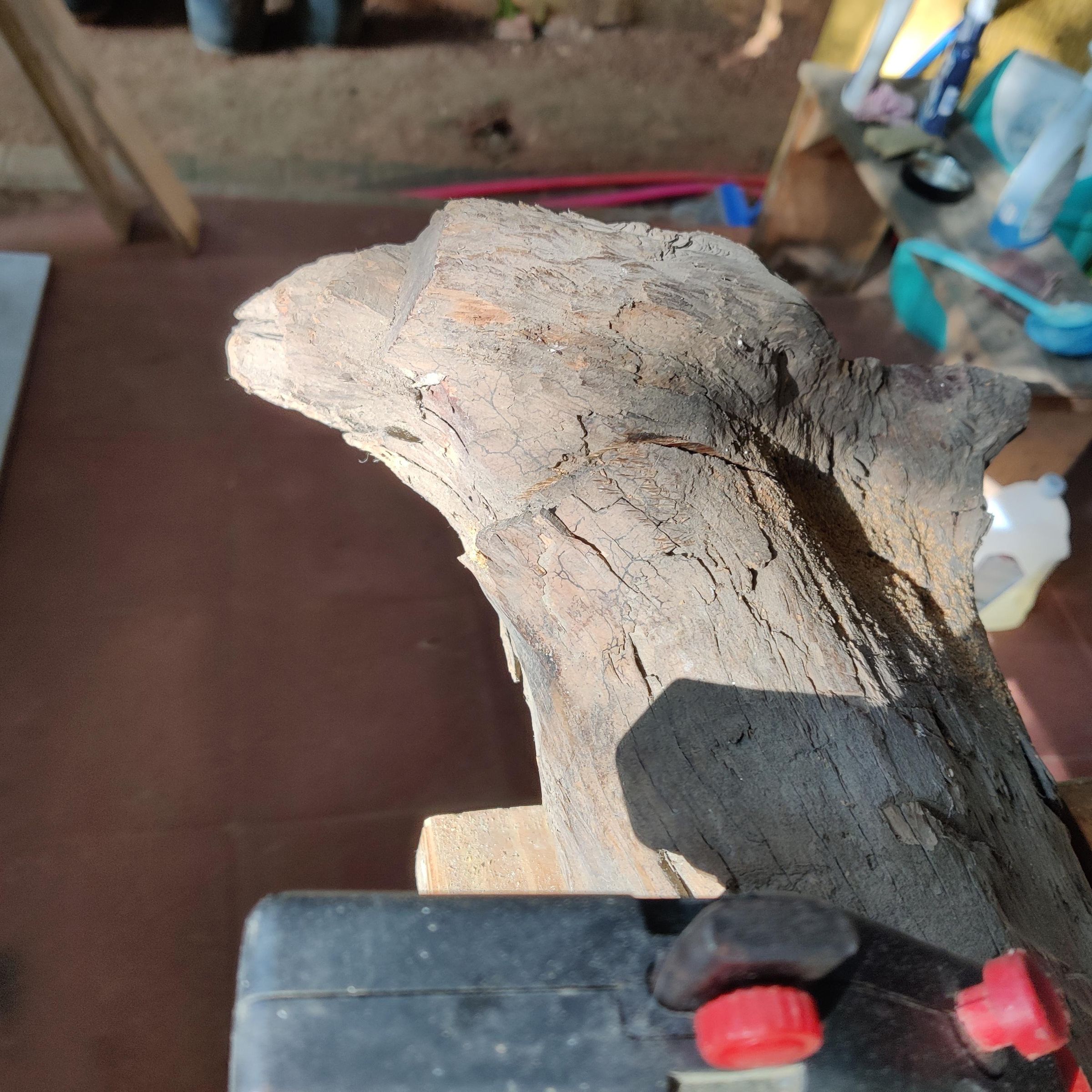 Live Edge Coaster From Ancient Himalayan Yew Log : 5 Steps - Instructables