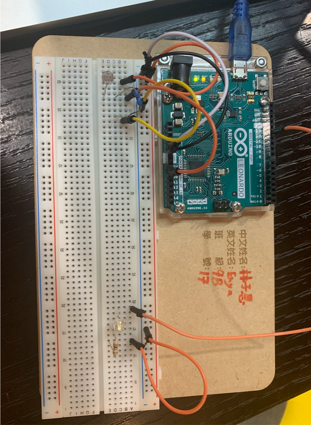 DO NOT ENTER: Arduino Leonardo LED Photo-resistance Reminder Light : 5 ...