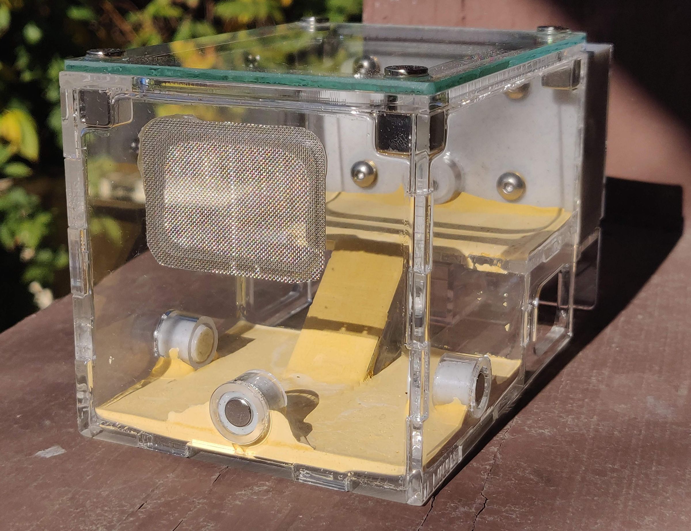 Small Modular Formicarium (Ant Farm) : 16 Steps (with Pictures ...