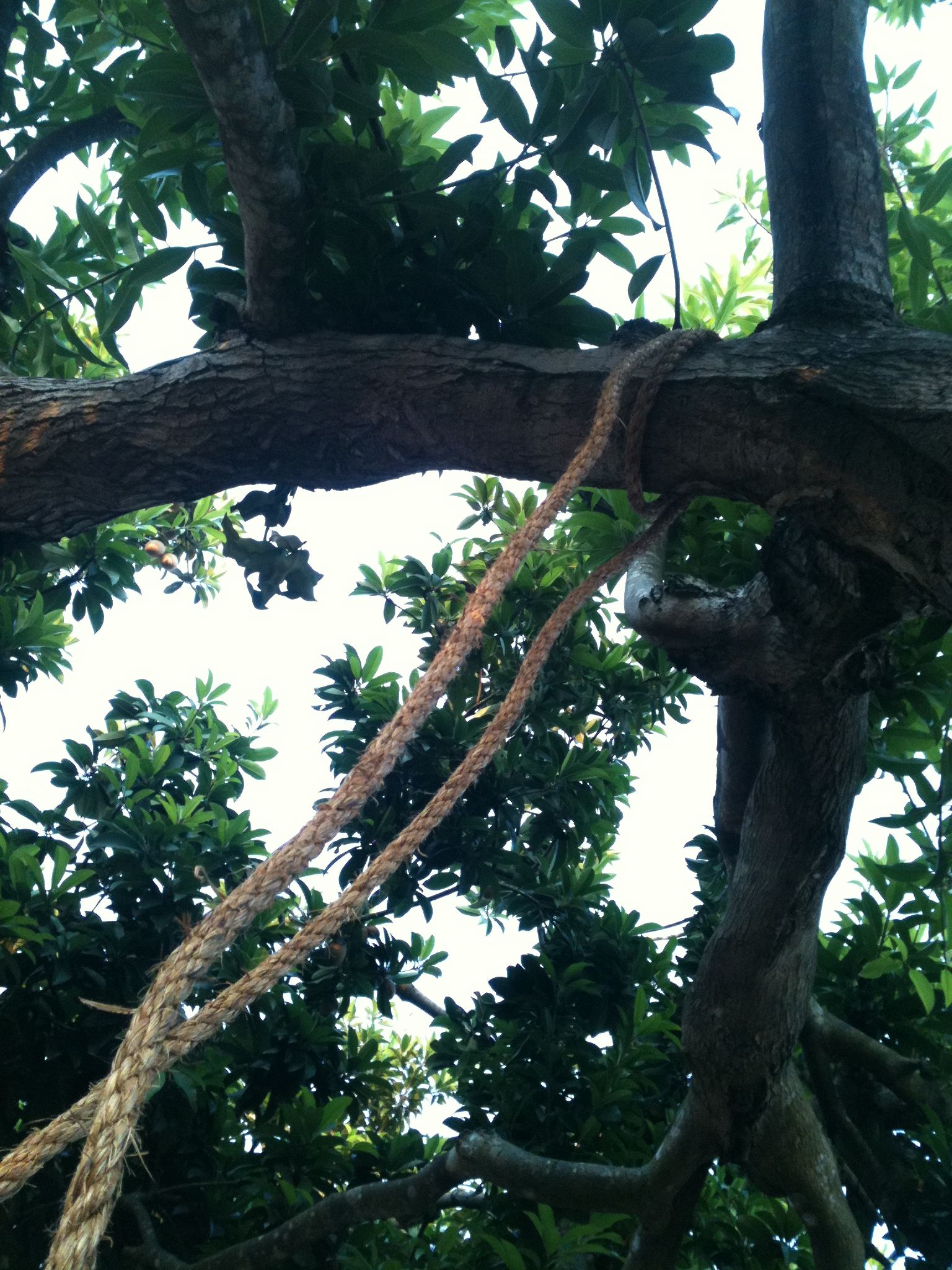 How to DIY a Simple Tree Swing : 5 Steps (with Pictures) - Instructables