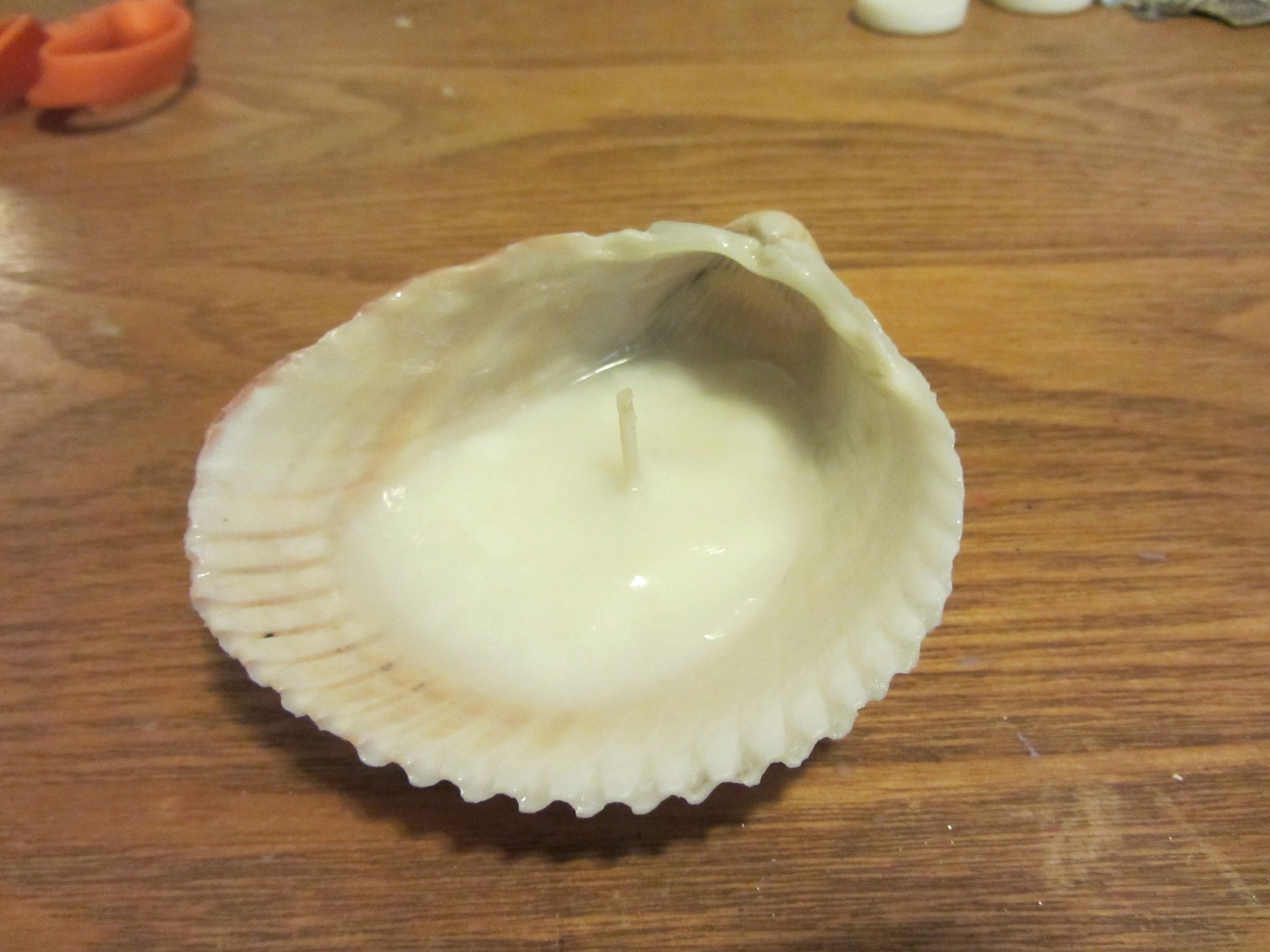 DIY Seashell Candle : 4 Steps - Instructables
