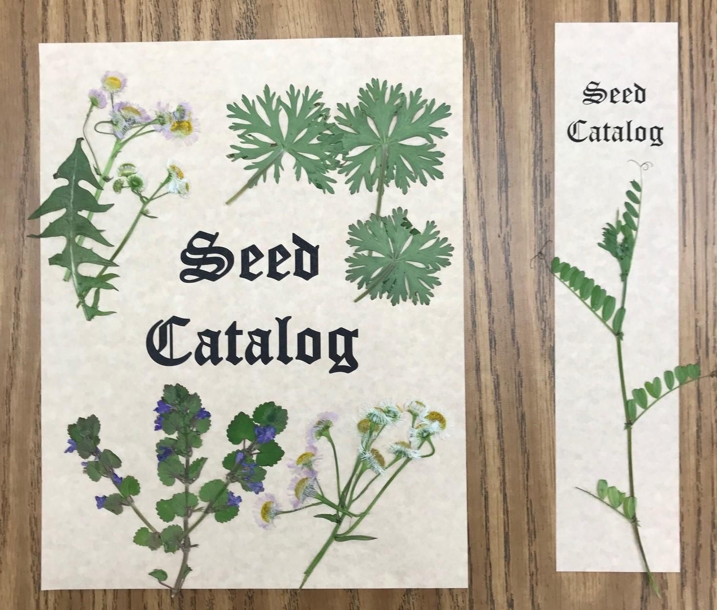 Portable Seed Catalog : 11 Steps (with Pictures) - Instructables