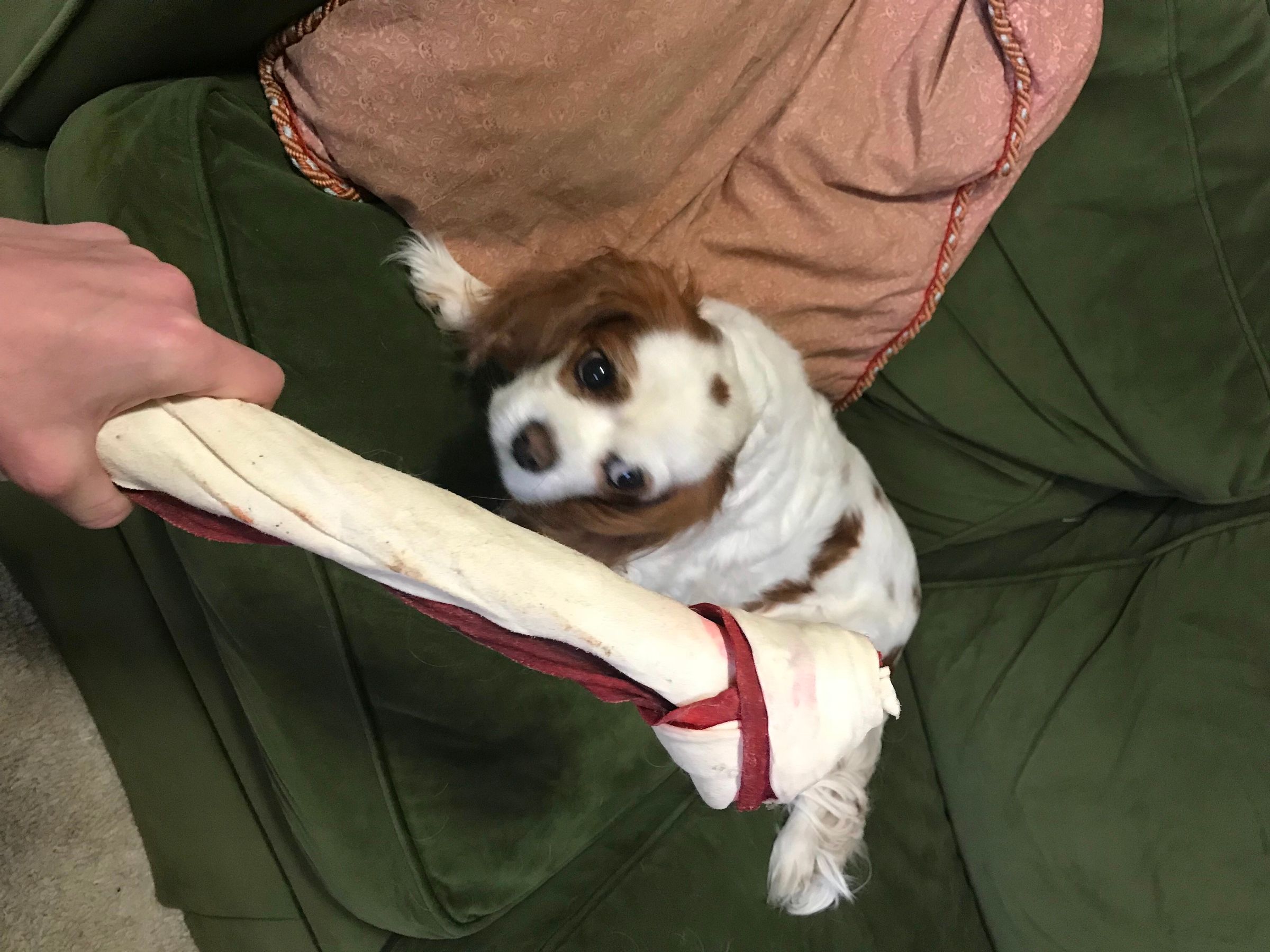 Rawhide Mallet From Dog Bone : 6 Steps (with Pictures) - Instructables