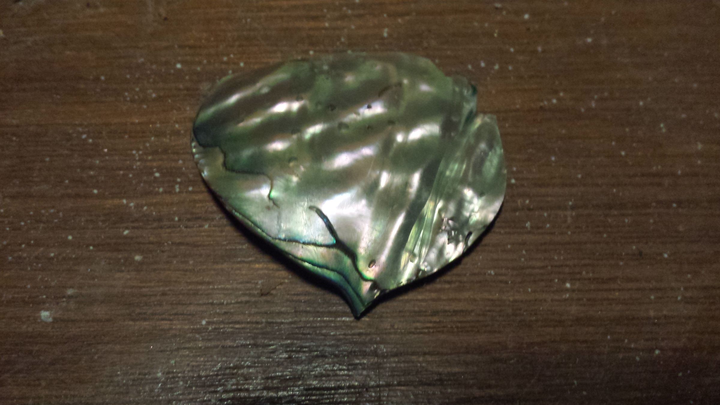 Upcycling & Carving Abalone Shell Into Jewelry and Gris Gris ...