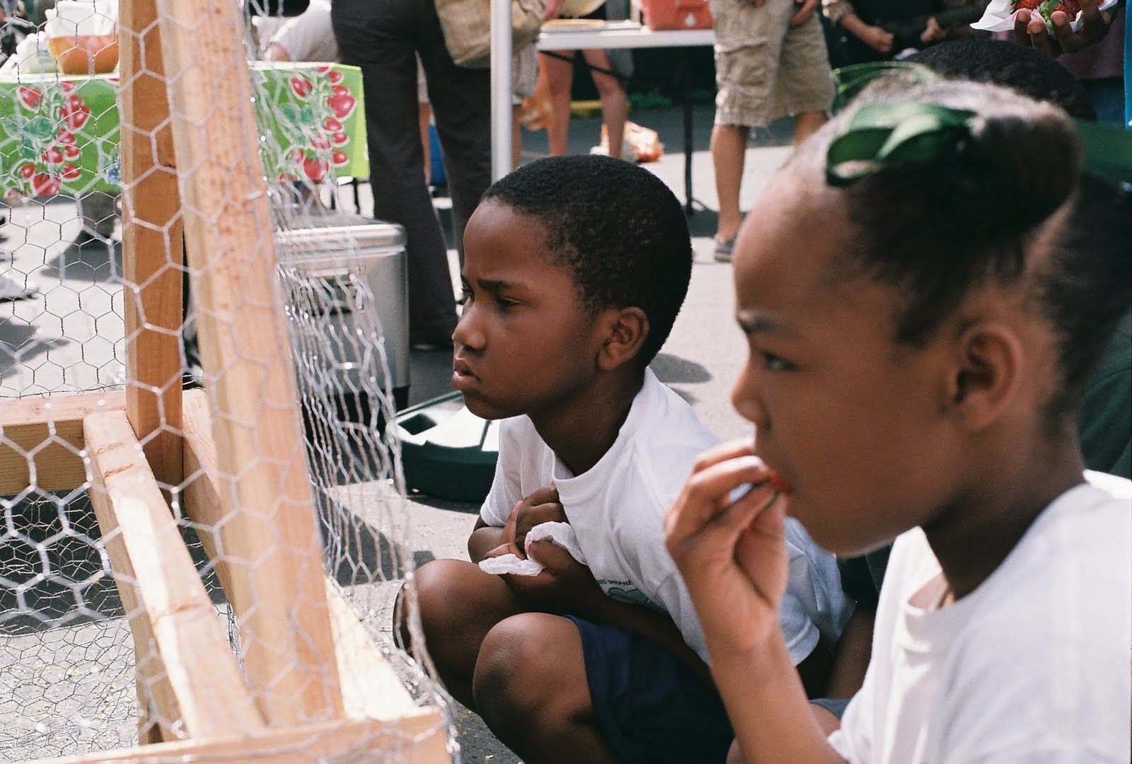 A-Frame Coop Design : 9 Steps (with Pictures) - Instructables