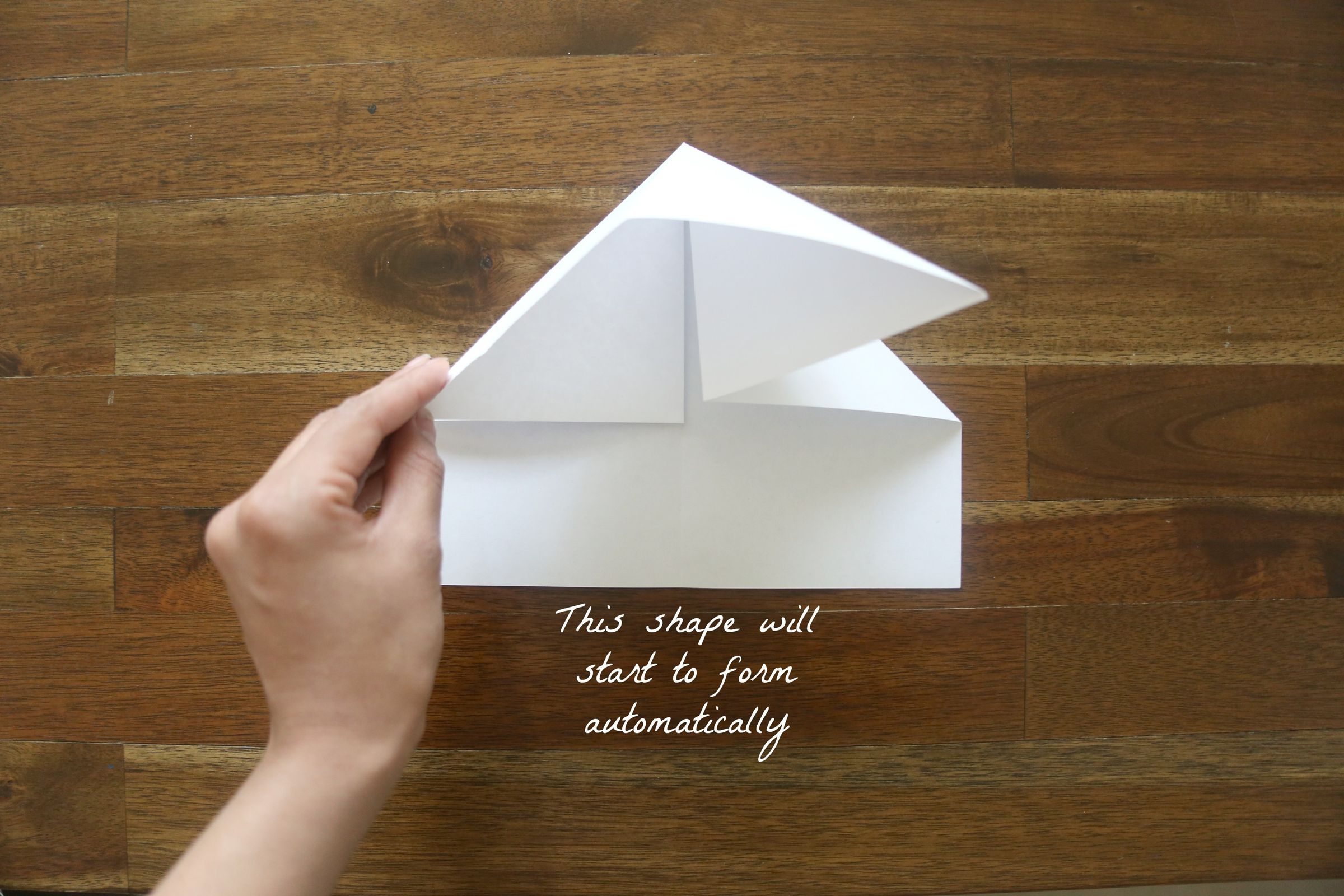 Finest Paper Plane : 4 Steps (with Pictures) - Instructables