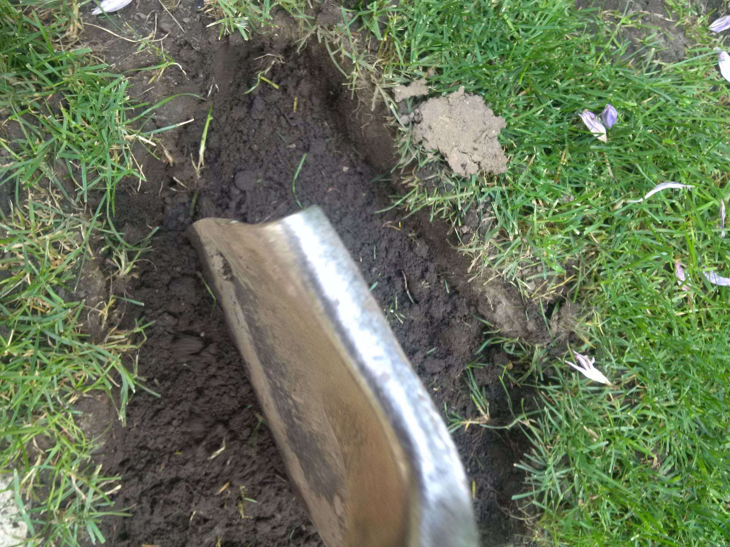 Easy Stepping Stones - No More Mud Trails : 7 Steps (with Pictures ...