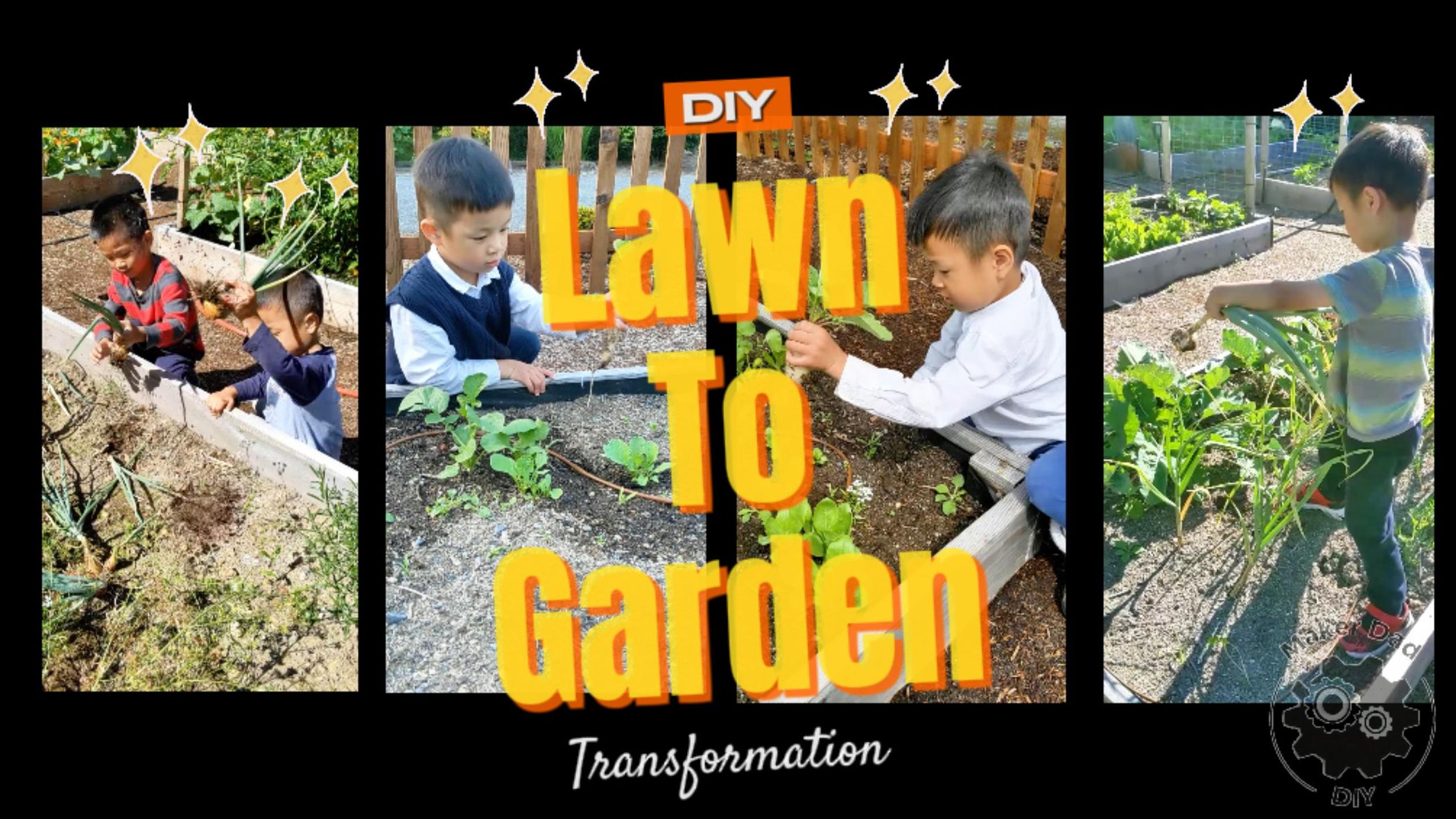 DIY: Transforming My Front Yard From Grass to a Vegetable Garden : 8 ...