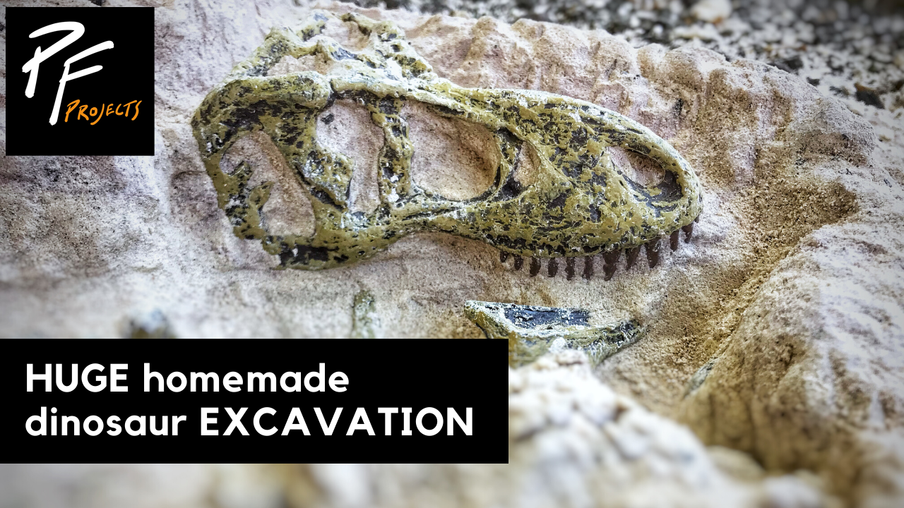 Diy Fossil Dig Plaster Sale Online | emergencydentistry.com