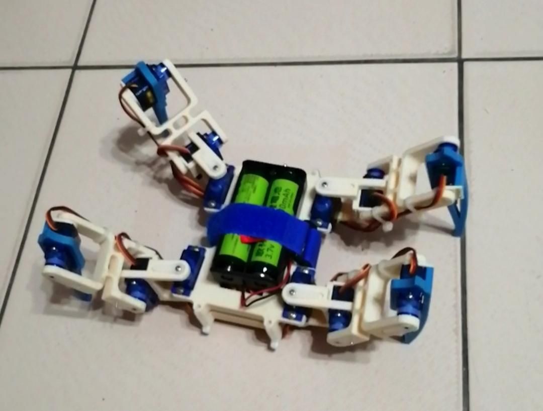 [DIY] Spider Robot(Quad Robot, Quadruped) : 14 Steps (with Pictures ...