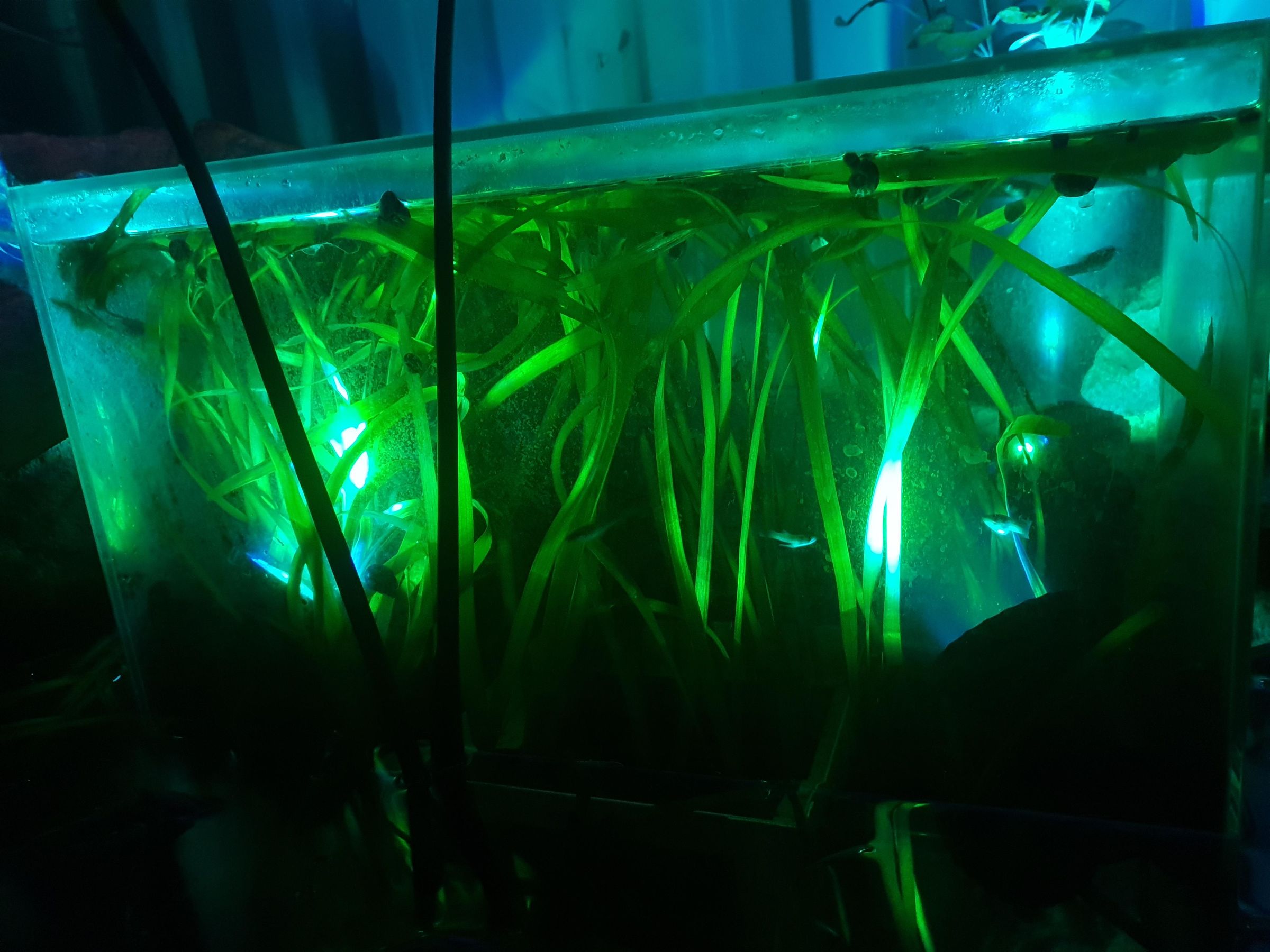 Inverted Fish Tank Tower : 5 Steps (with Pictures) - Instructables