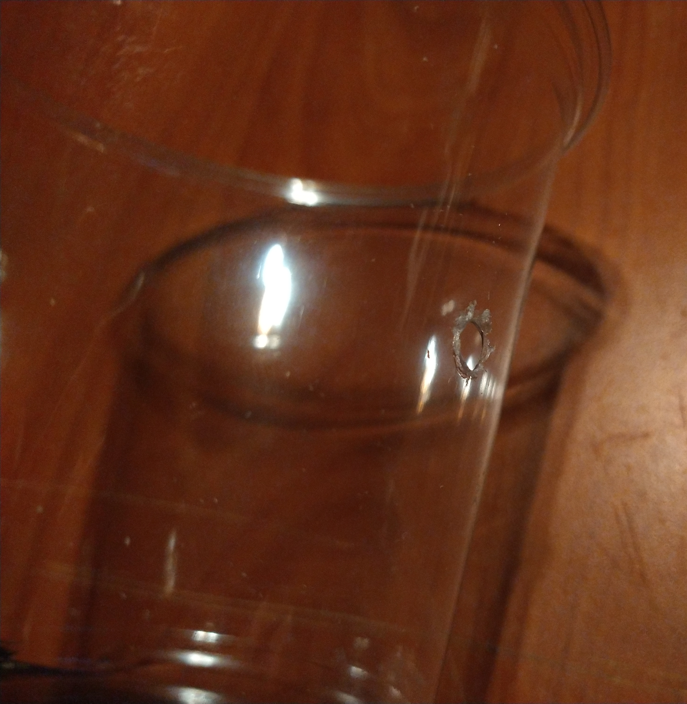 Perfect Praying Mantis Cups : 9 Steps (with Pictures) - Instructables