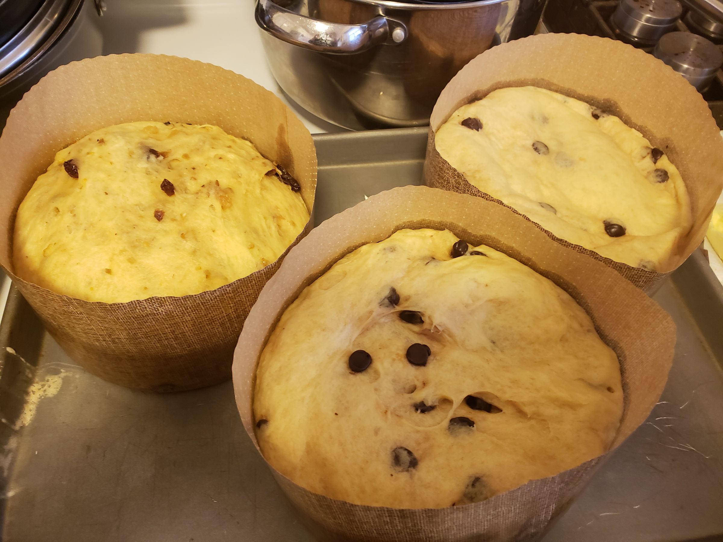 Homemade Panettone : 9 Steps (with Pictures) - Instructables