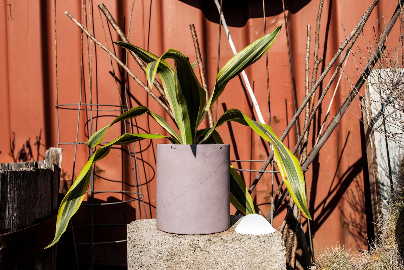 DIY CONCRETE:: Cylinders From Cardboard Tubes : 7 Steps (with Pictures ...