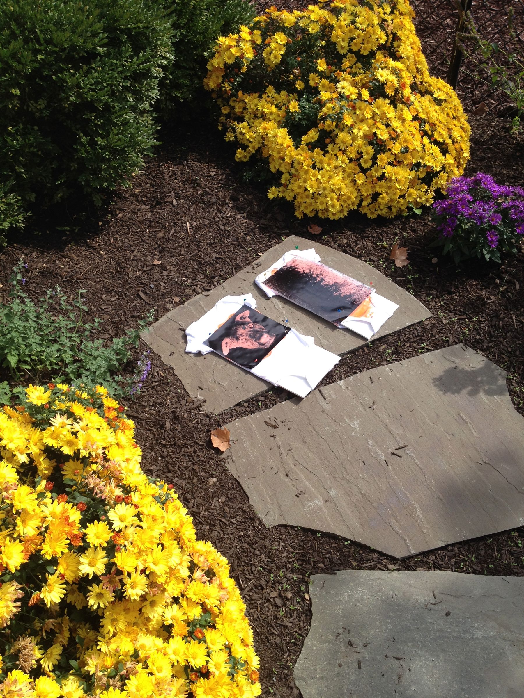 Lumi Inkodye Printing : 11 Steps (with Pictures) - Instructables