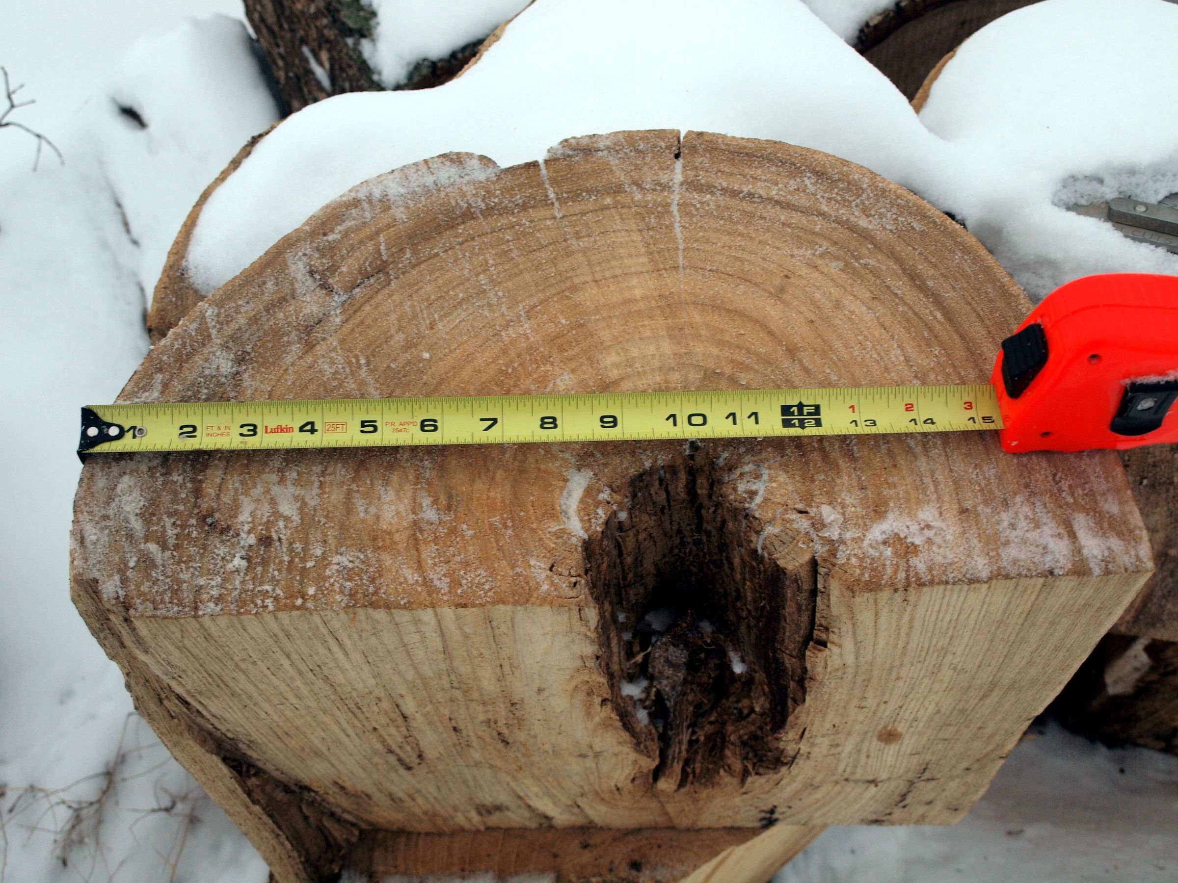 Make a Hardwood Floor That Looks 3D From Your OWN Trees : 11 Steps ...