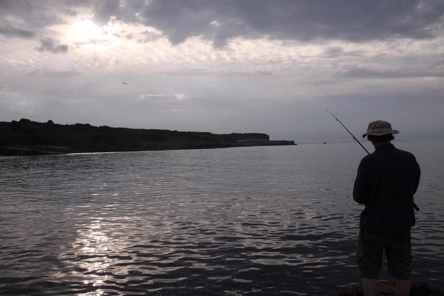 Solar Cooked Wild Mackerel on the Rocks : 7 Steps (with Pictures ...