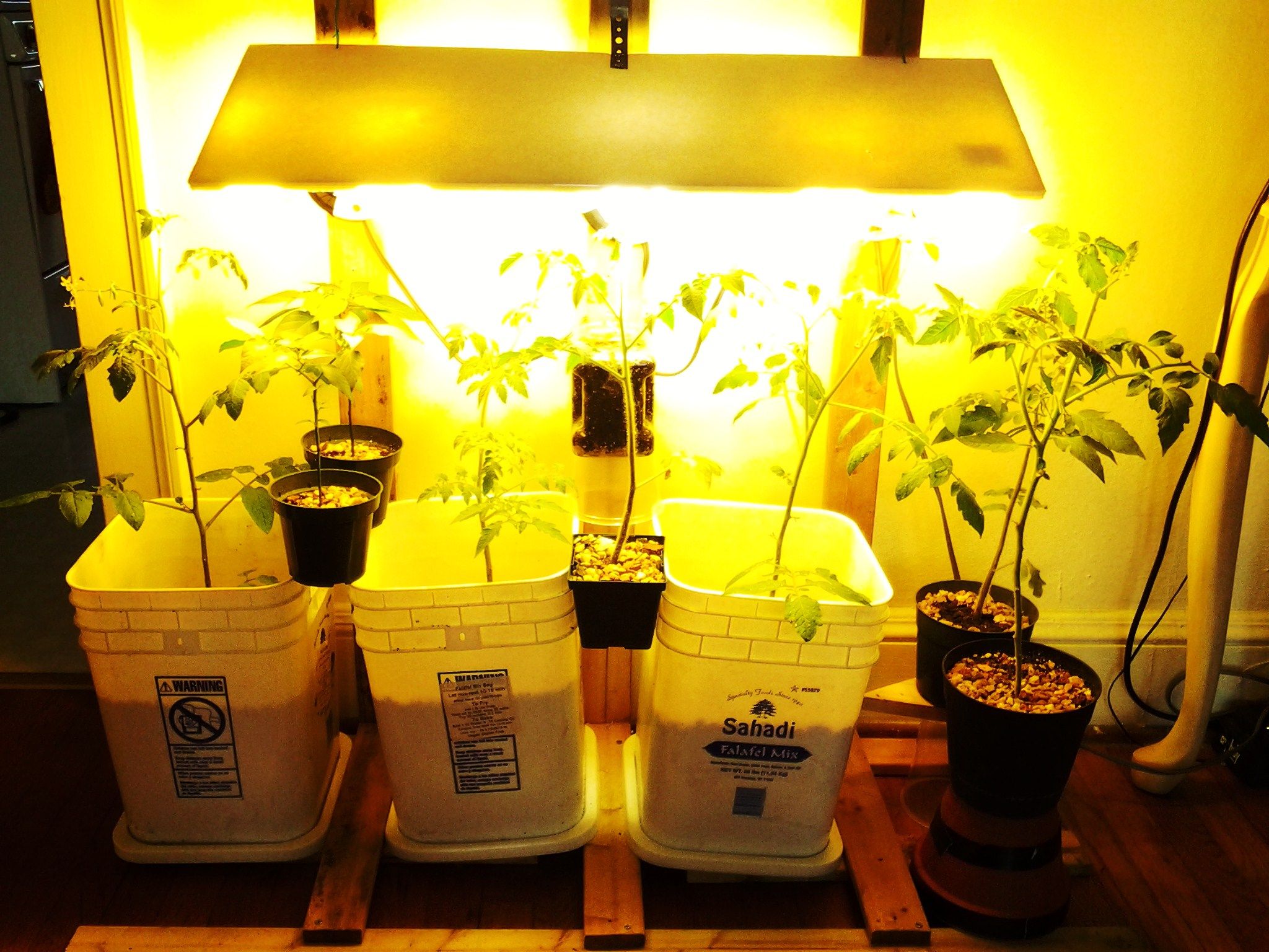 Grow Box - Novice / Entry Level : 8 Steps (with Pictures) - Instructables