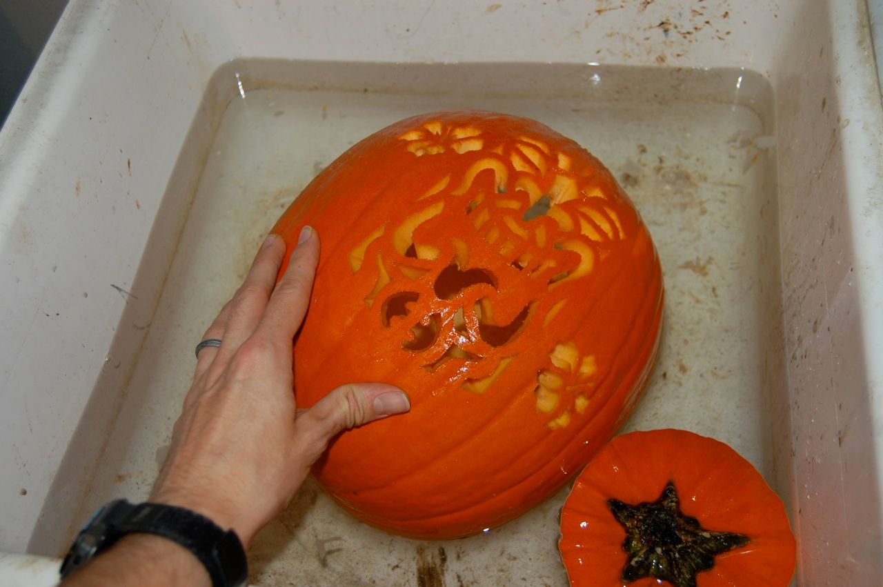 Precision Pumpkin Carving : 9 Steps (with Pictures) - Instructables