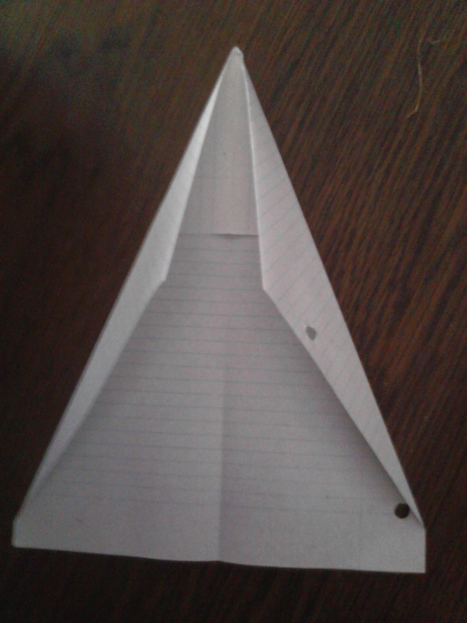 How to Make the Concord Paper Plane : 8 Steps - Instructables