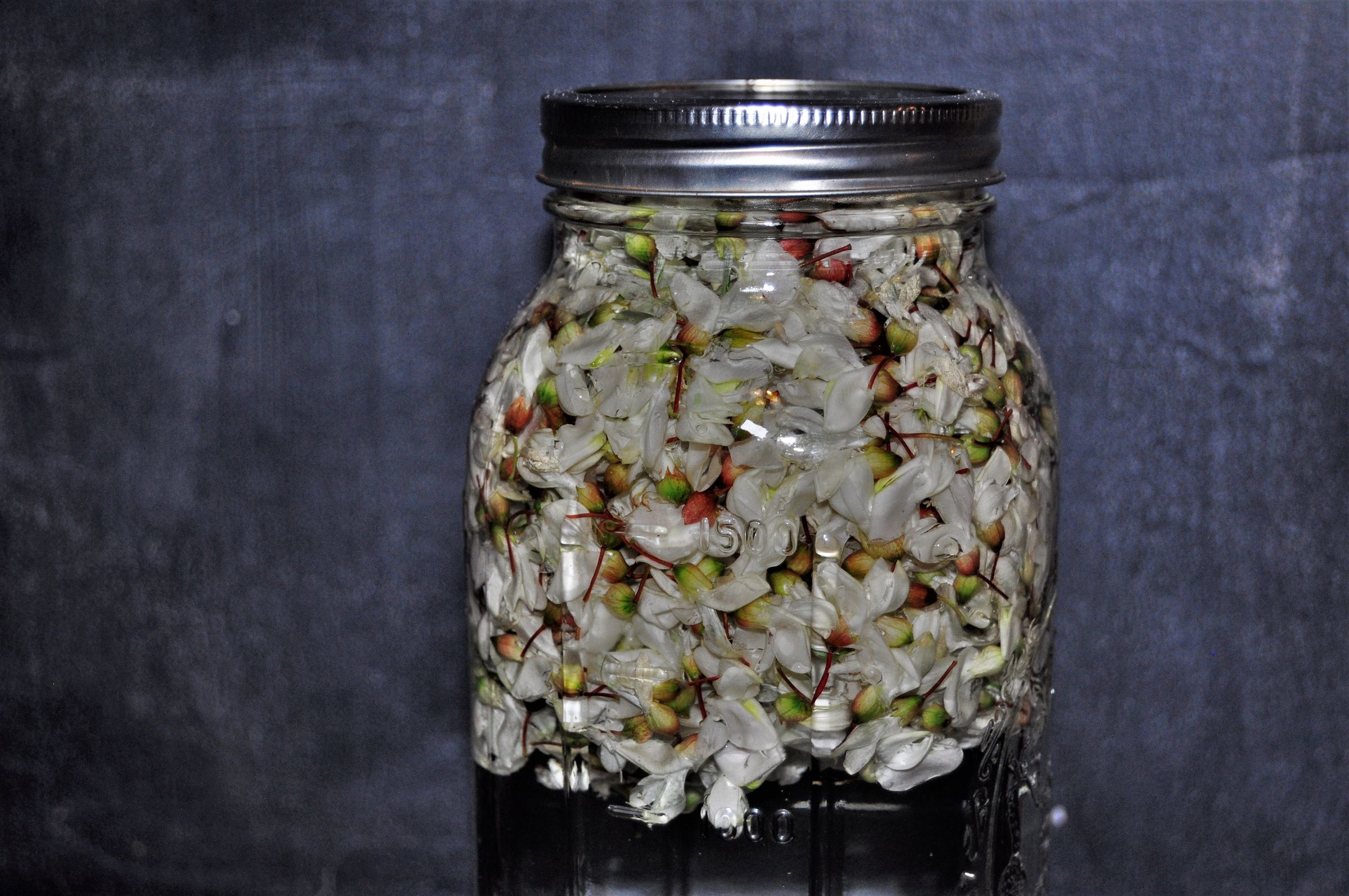 Black Locust Flower Cold Brew Tea : 4 Steps (with Pictures) - Instructables