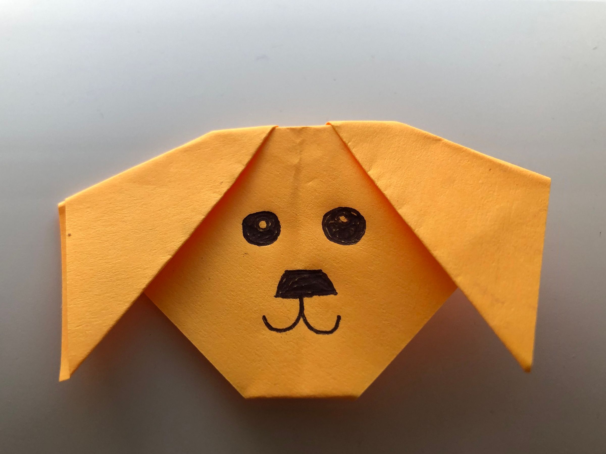 How Do You Make A Dog Face