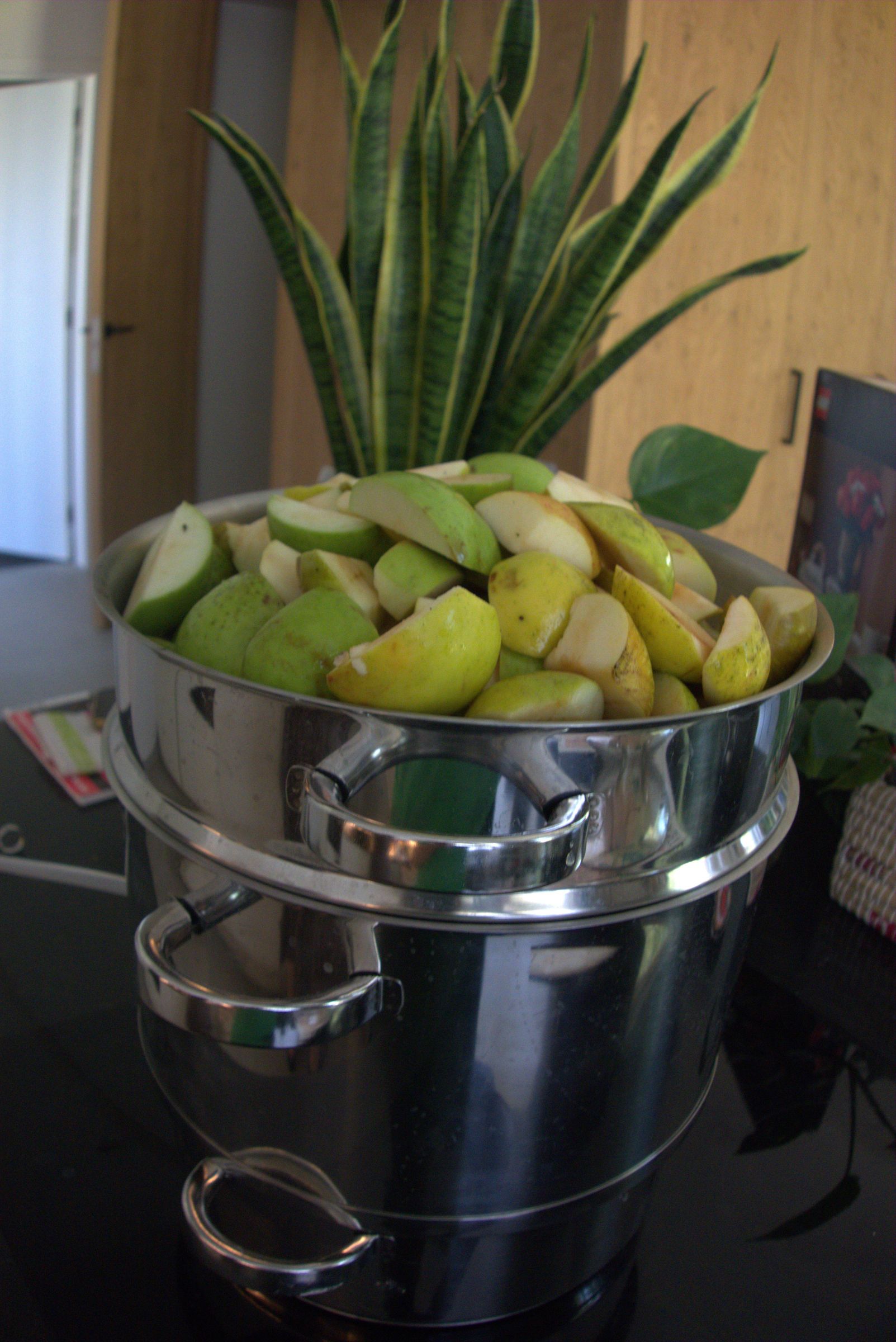 How to Make Juice of Any Fruit With a Steam Juice Extractor : 4 Steps ...