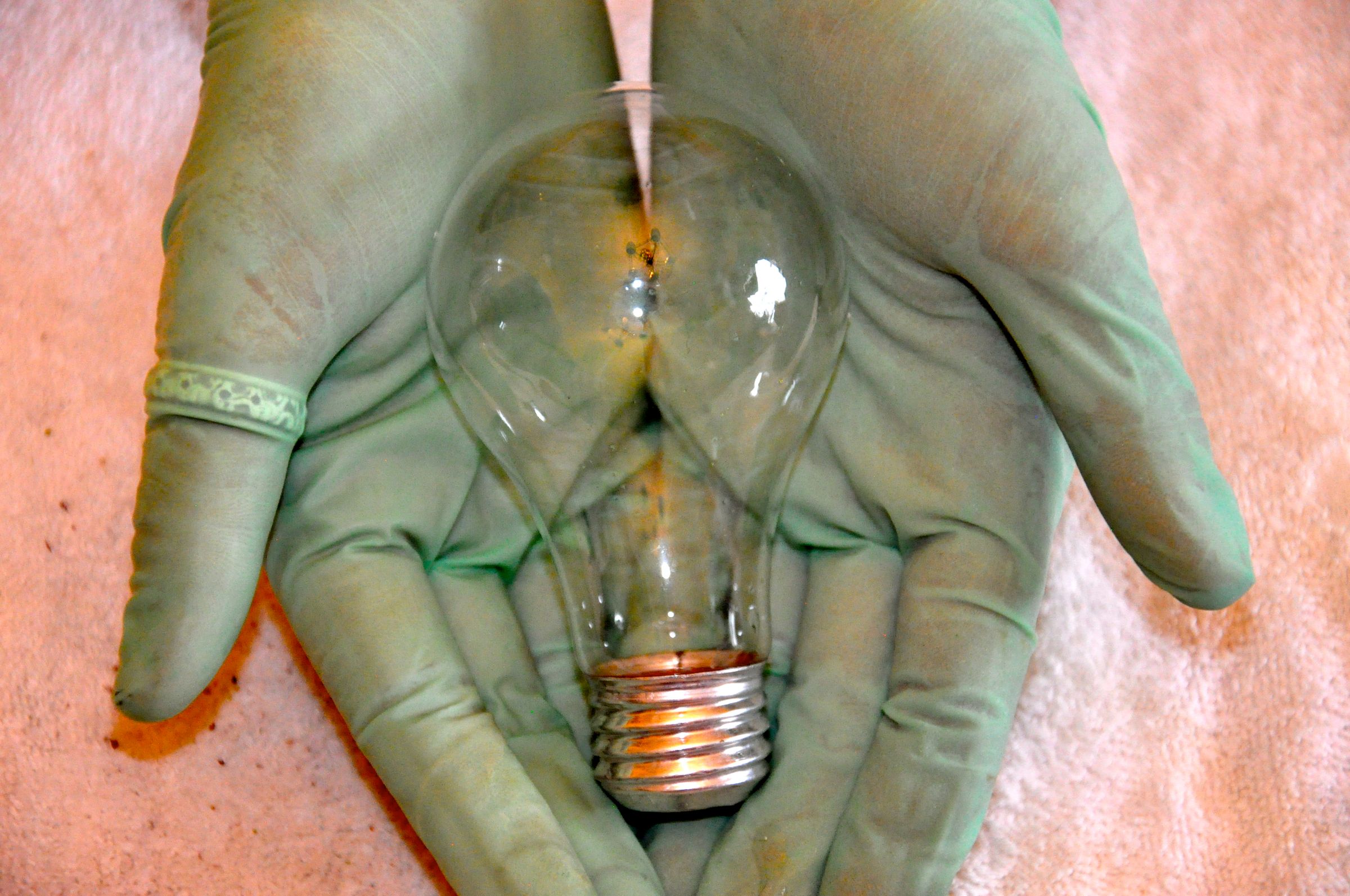 Light Bulb Terrarium : 12 Steps (with Pictures) - Instructables