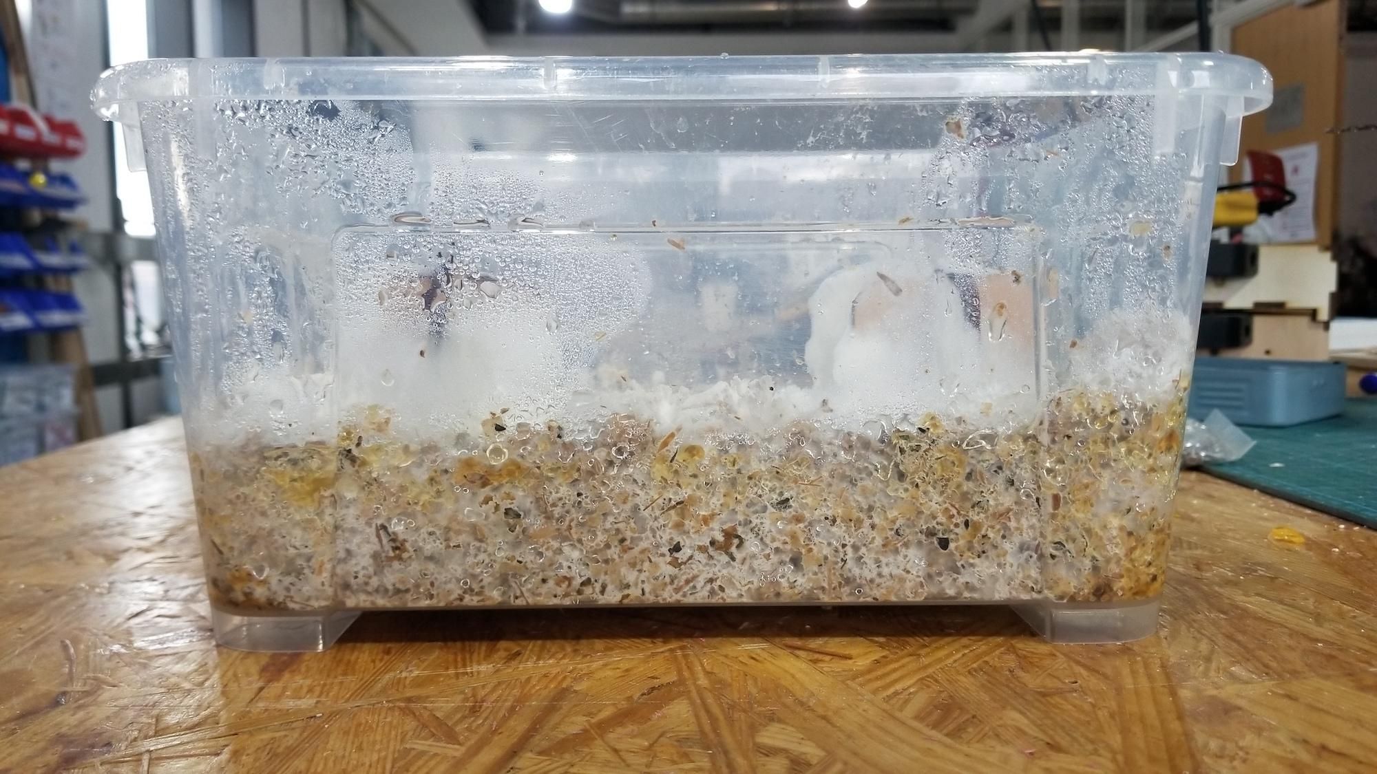 Mycelium Stool (prototype) : 8 Steps - Instructables