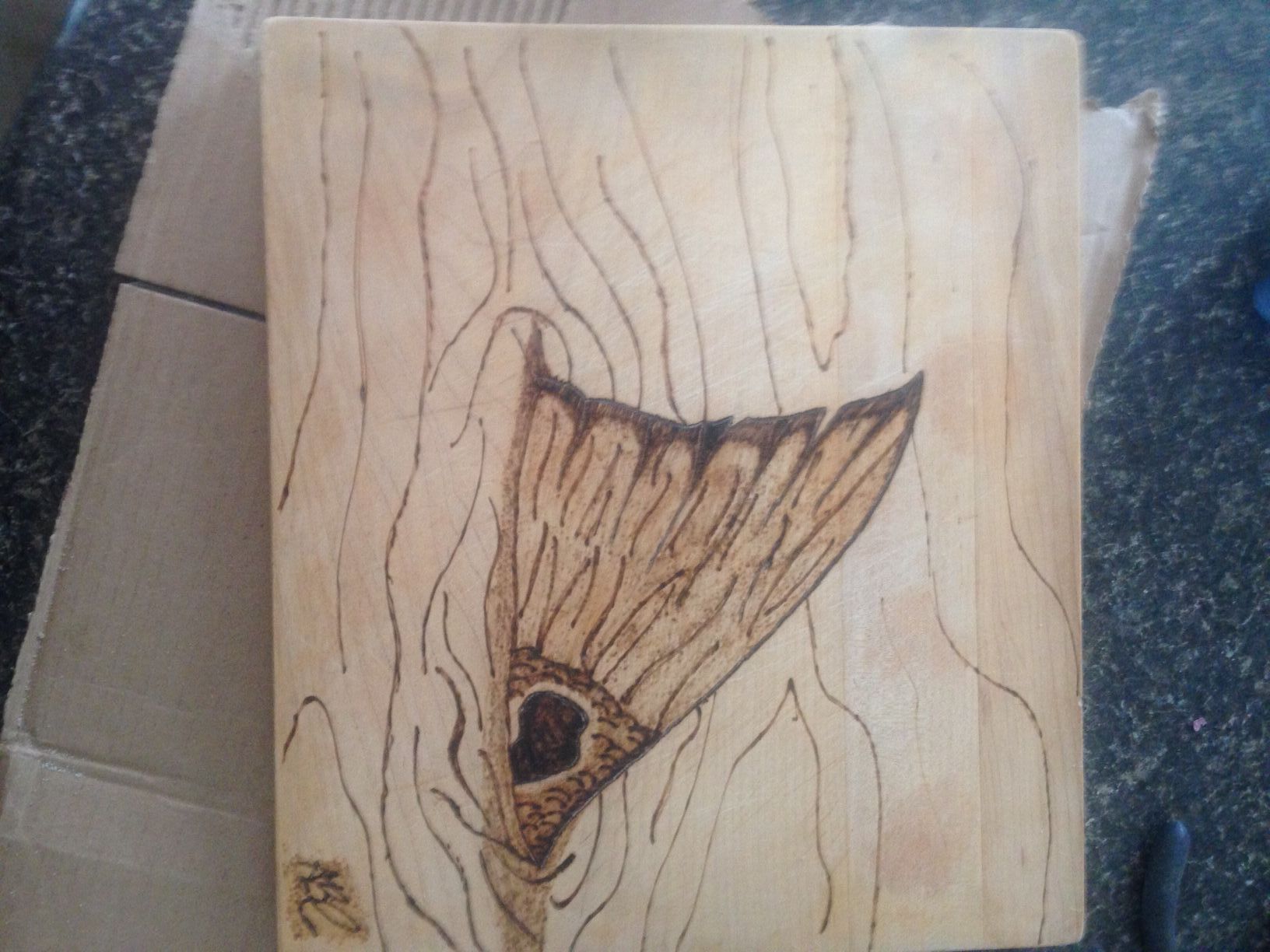 Pyrography Wood Burning: Fish : 3 Steps - Instructables