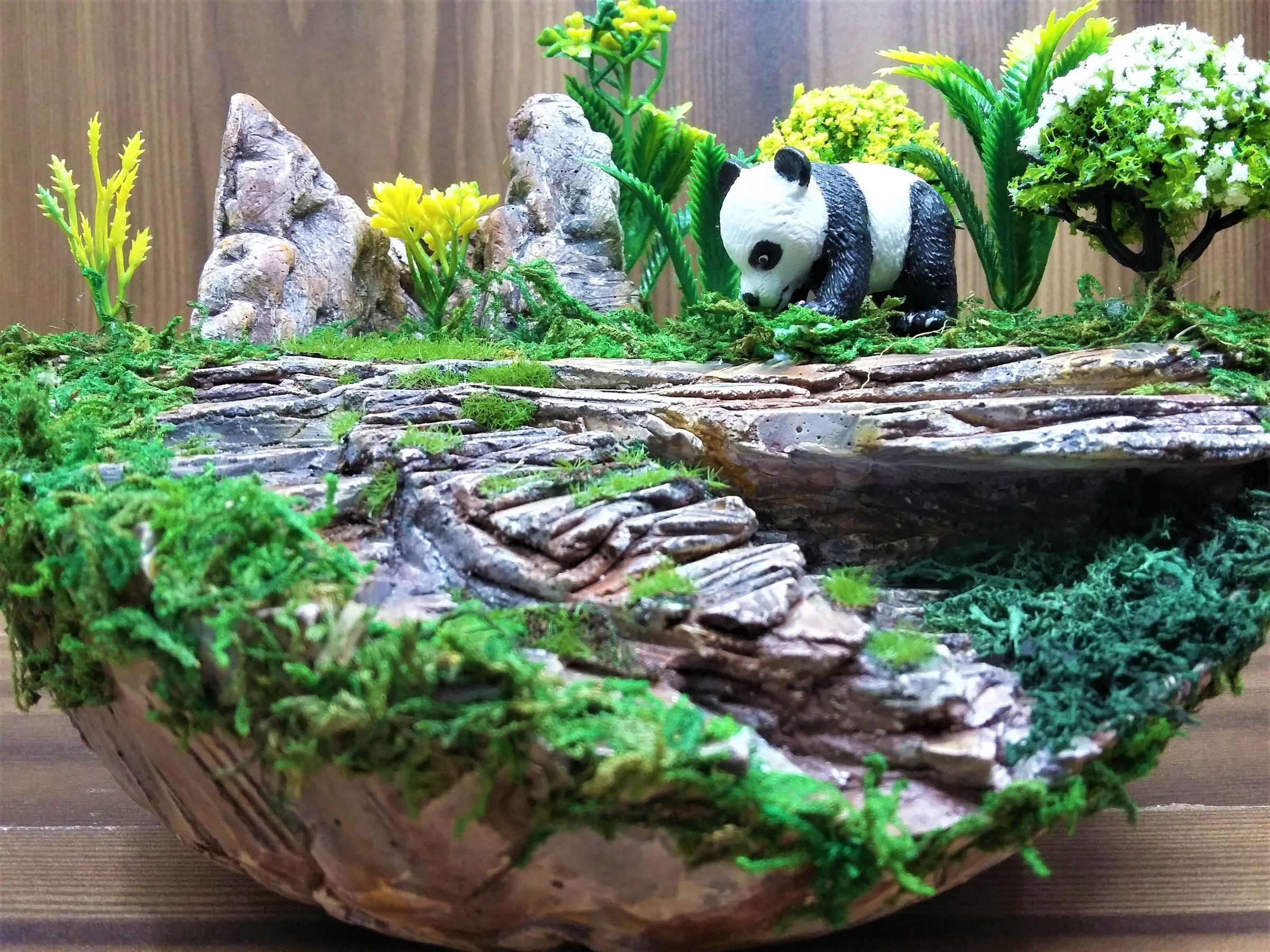 Panda Bear Habitat Project