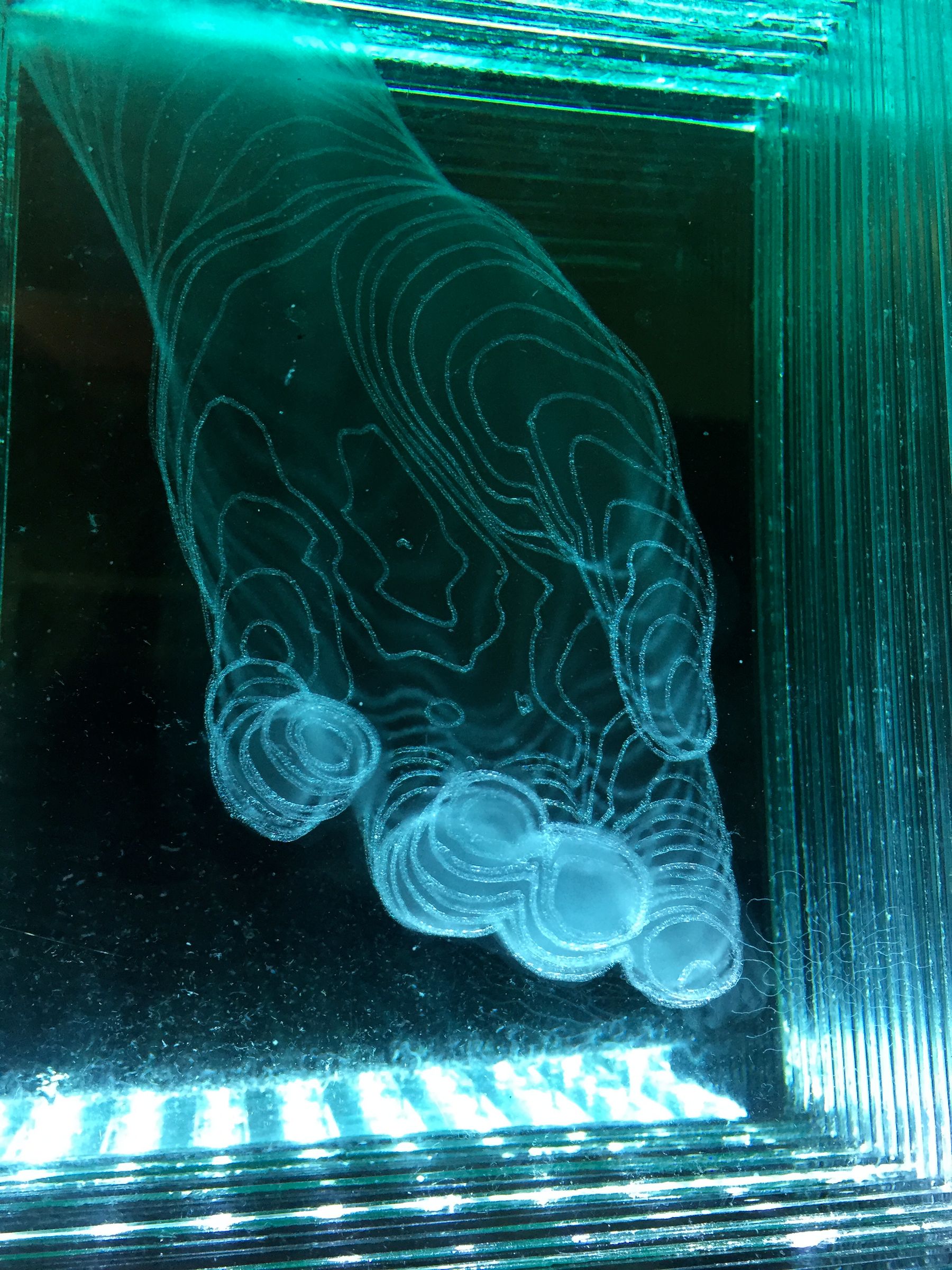 Laser Etching Glass : 10 Steps (with Pictures) - Instructables