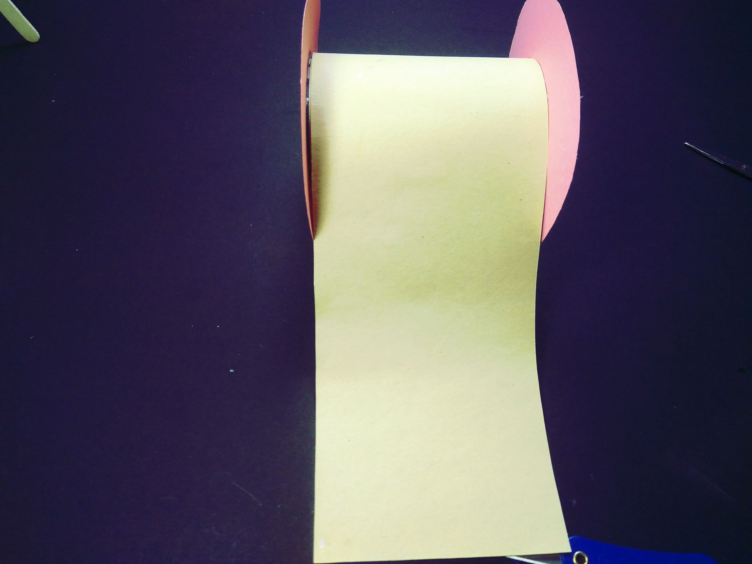 DIY Camera Film Photo Album : 5 Steps (with Pictures) - Instructables