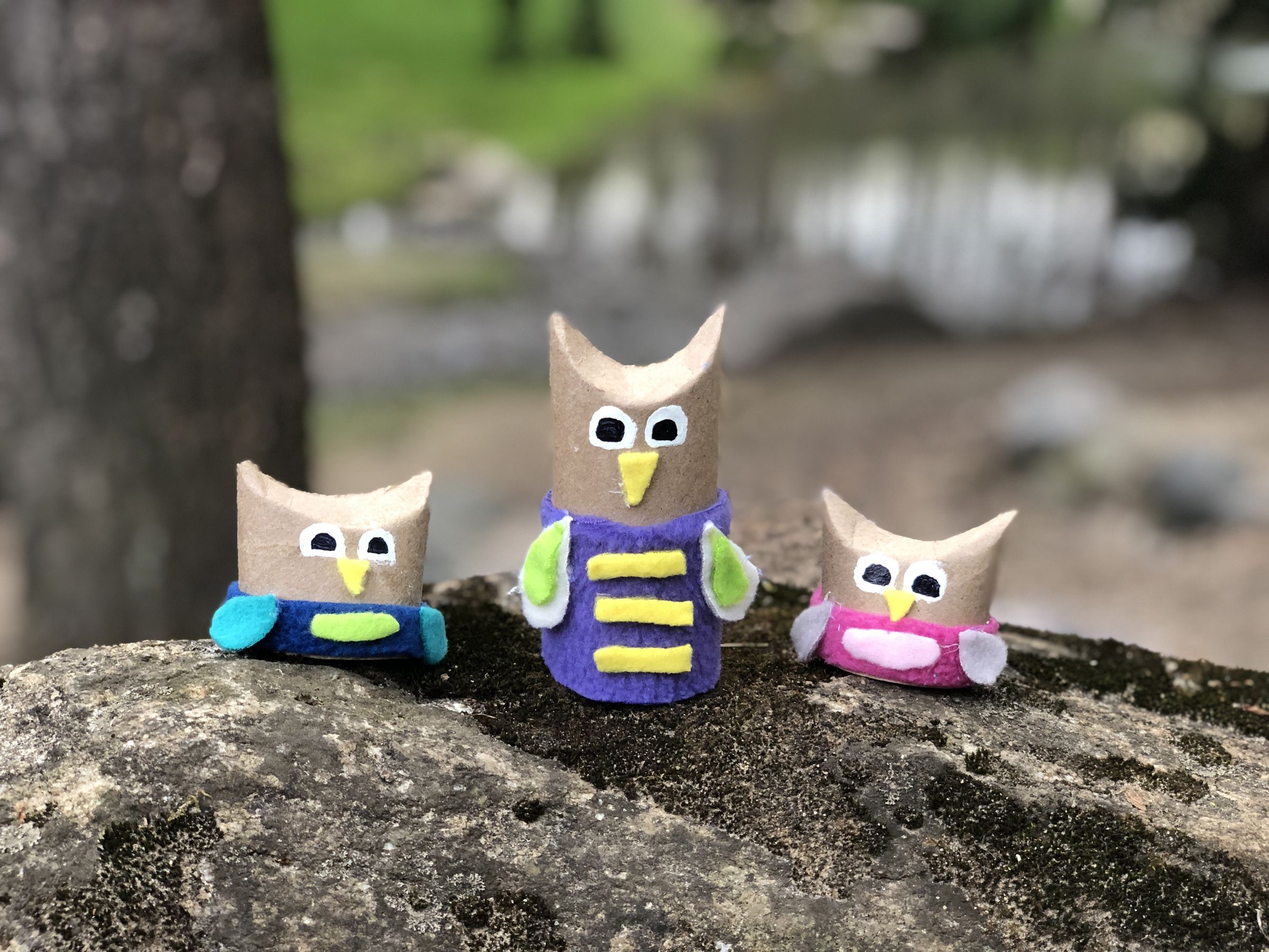 Recycled Cardboard Tube Owls : 9 Steps (with Pictures) - Instructables