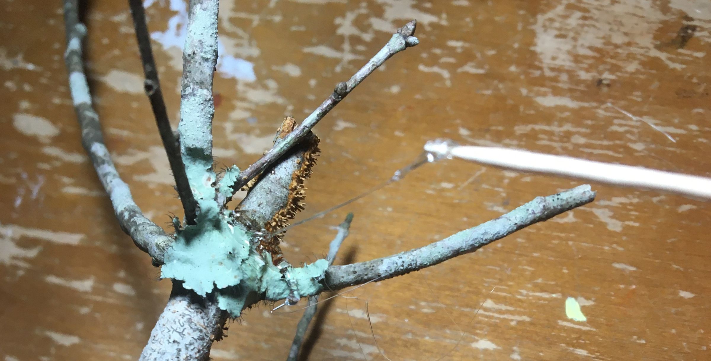 Hot Glue Special Effects : 11 Steps (with Pictures) - Instructables