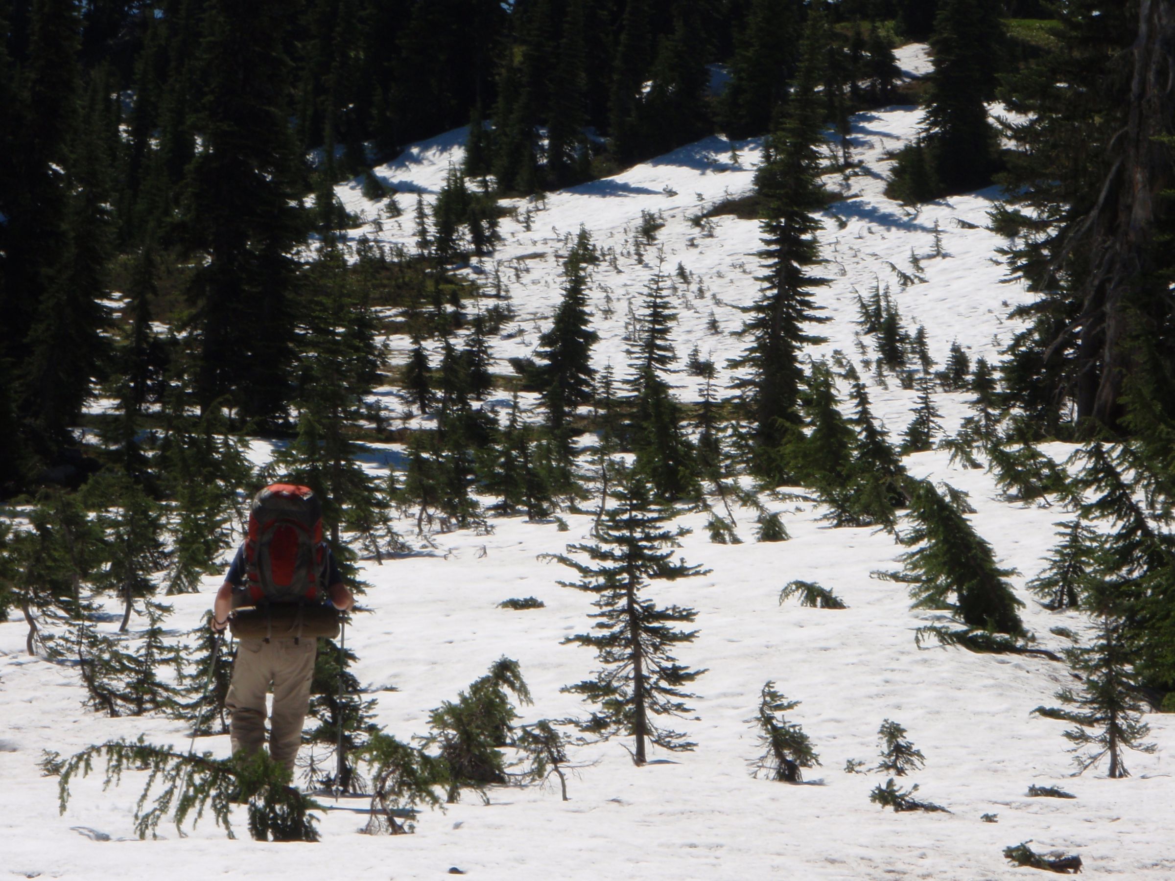 How to Navigate With a Map and Compass : 7 Steps (with Pictures ...
