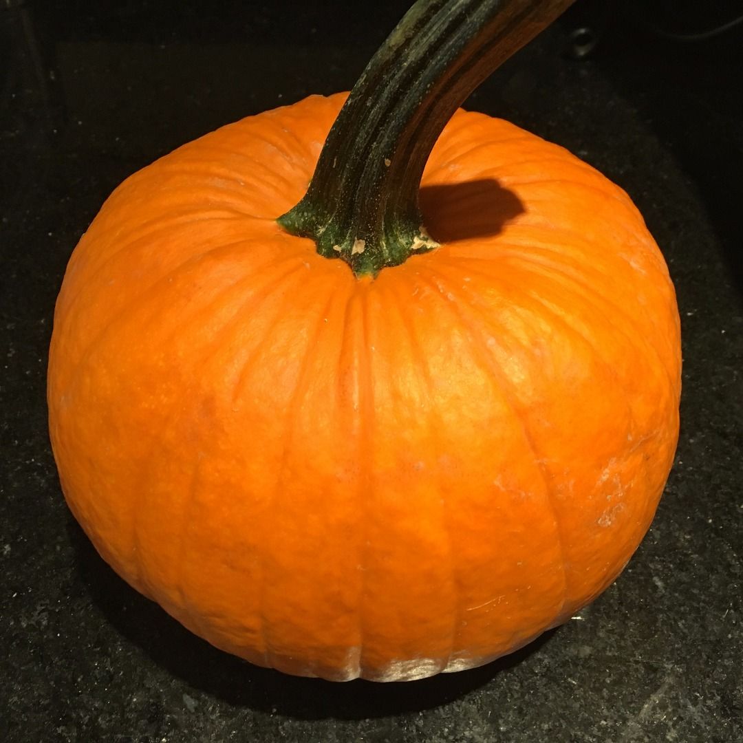 Fresh Pumpkin Puree : 5 Steps (with Pictures) - Instructables