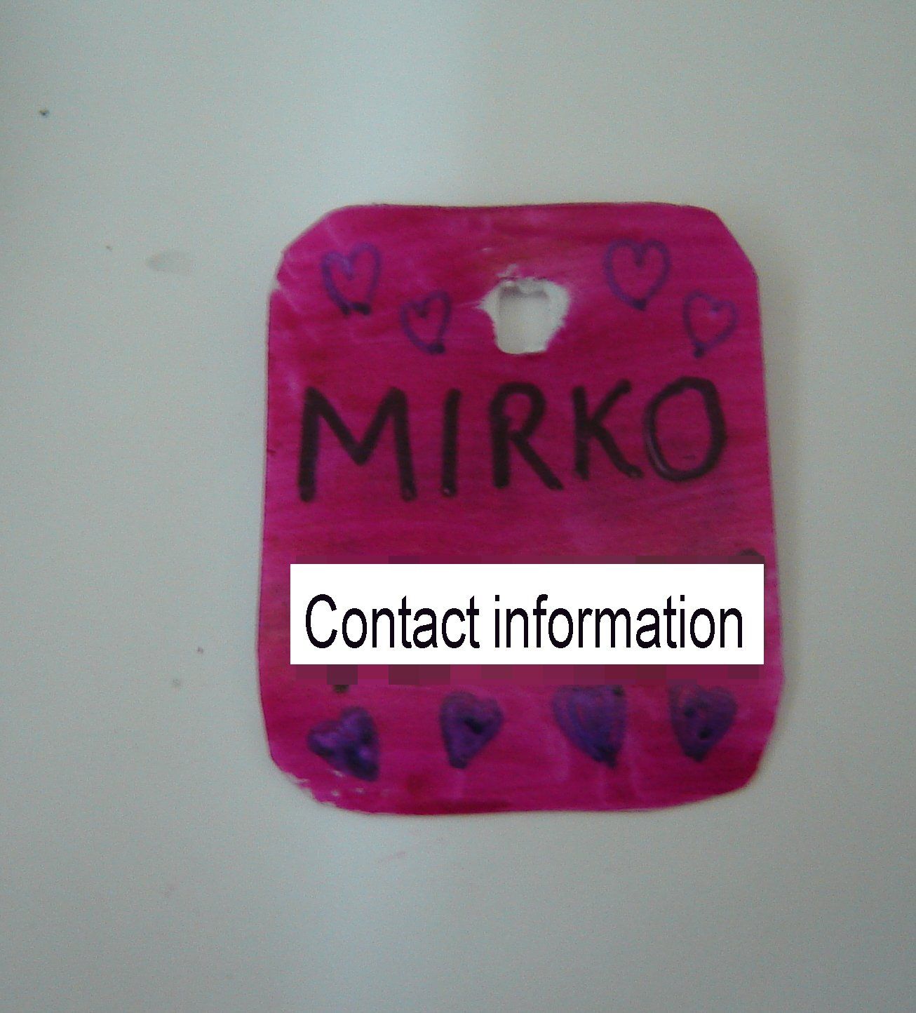 Easy Pet ID Tags : 6 Steps (with Pictures) - Instructables