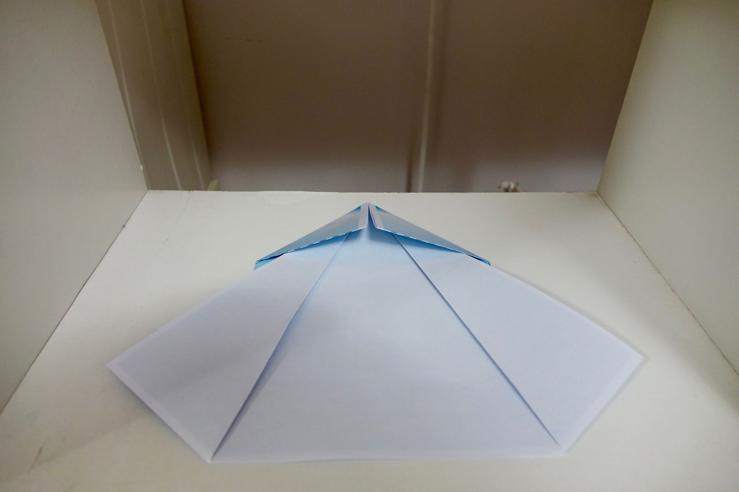 Flapping Paper Plane (Print Version) : 15 Steps (with Pictures ...