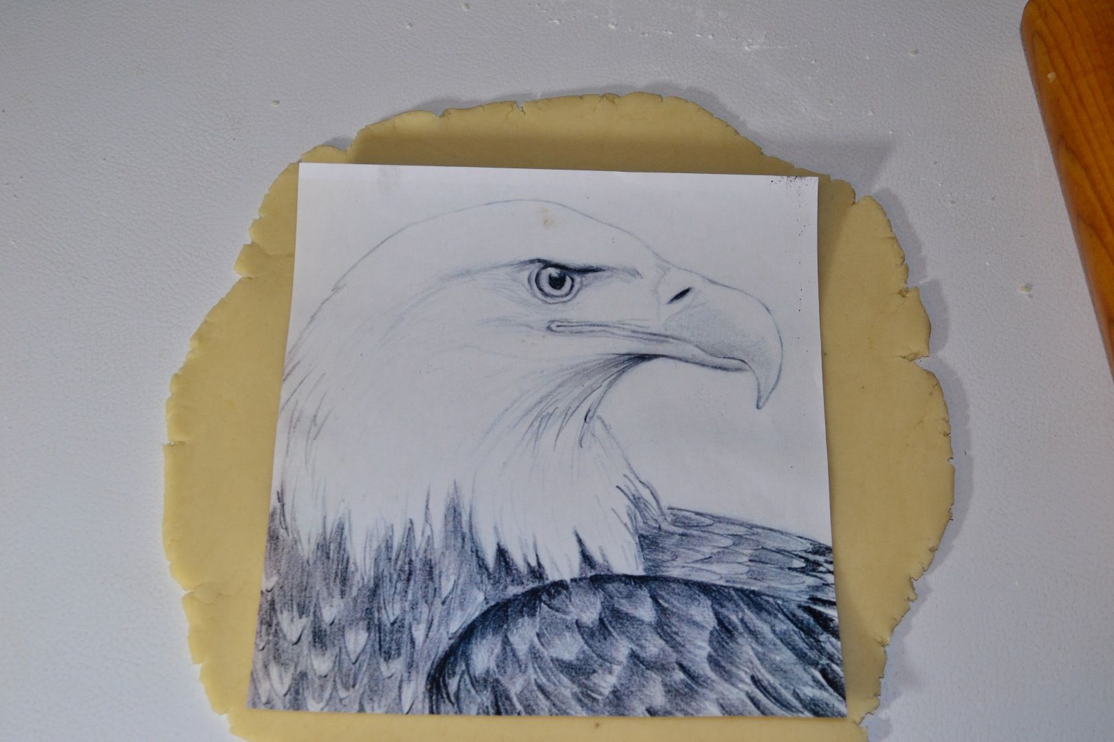 Caramelized Marzipan Edible Painting : 7 Steps (with Pictures ...